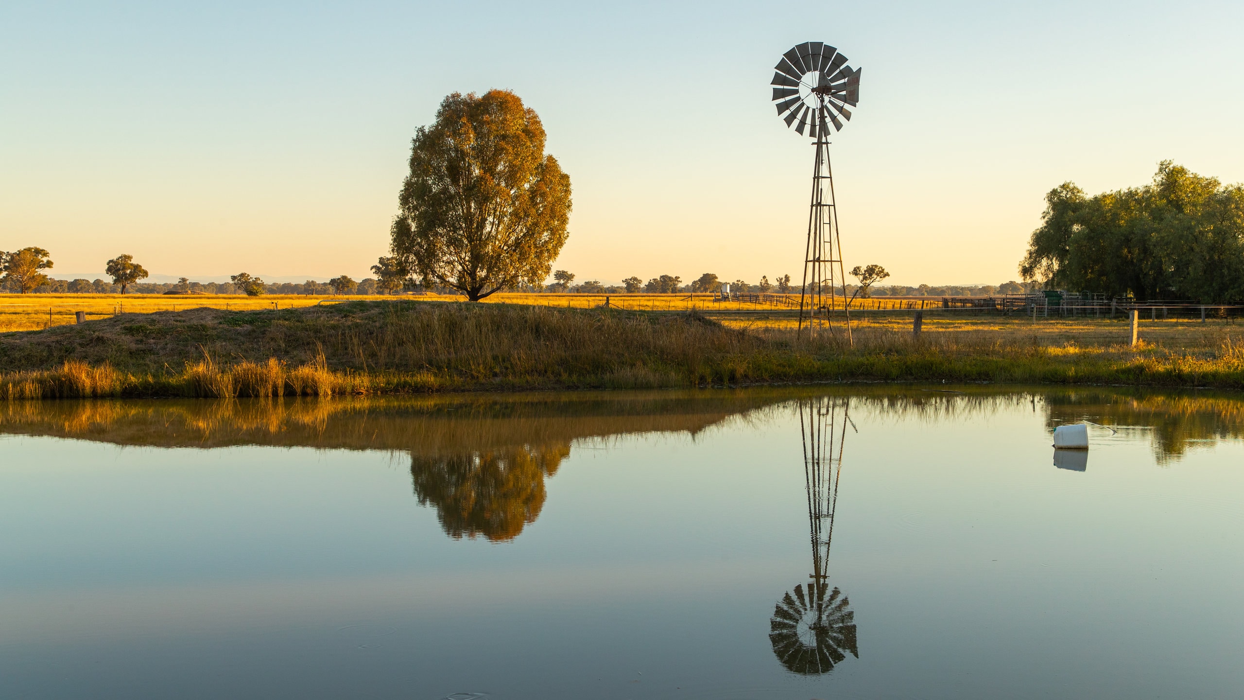 Ferienwohnung Wangaratta, VIC, AU: Ferienhäuser & mehr | FeWo-direkt