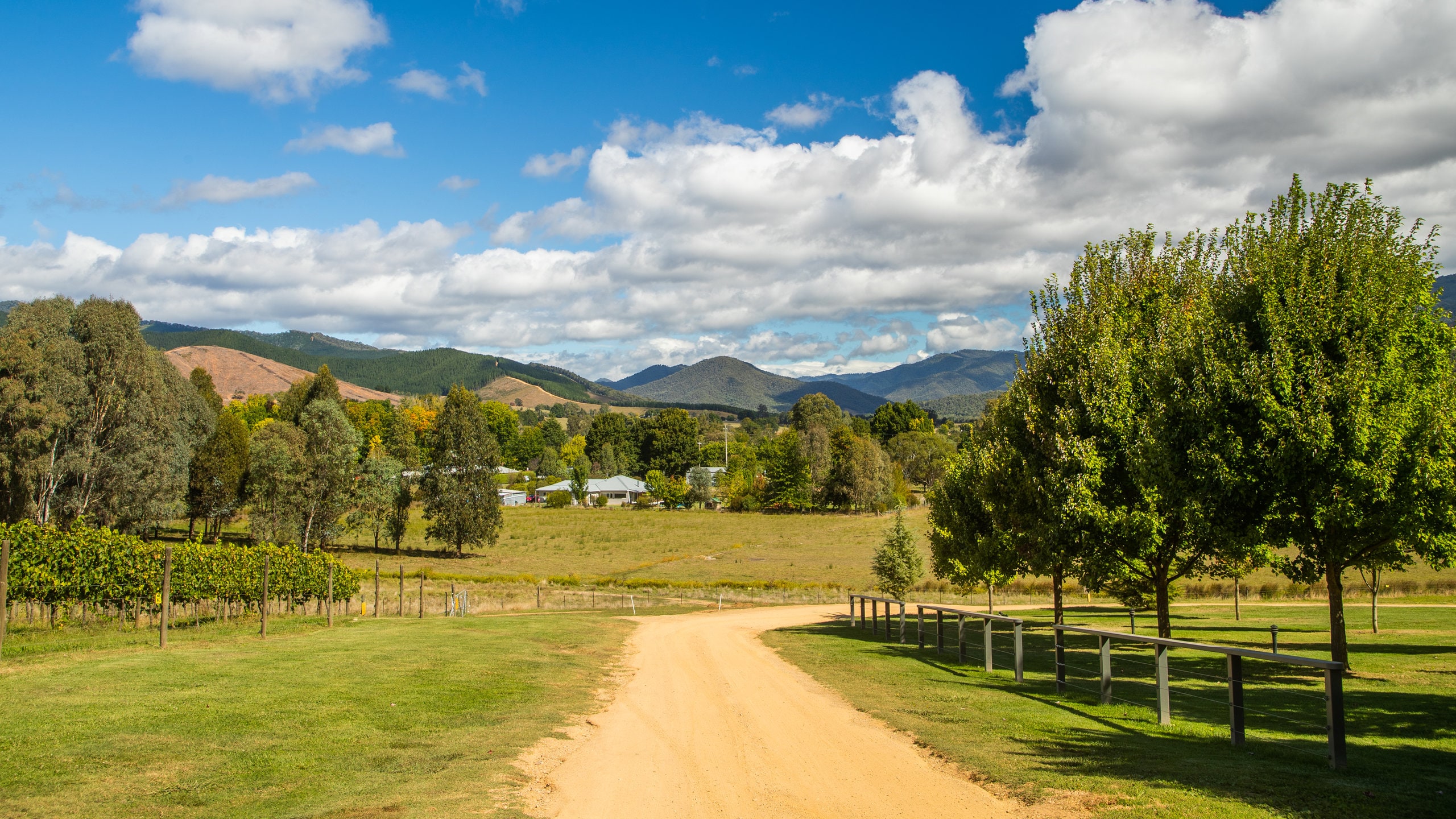 Ringer Reef Winery, Porepunkah holiday accommodation: chalets & more ...