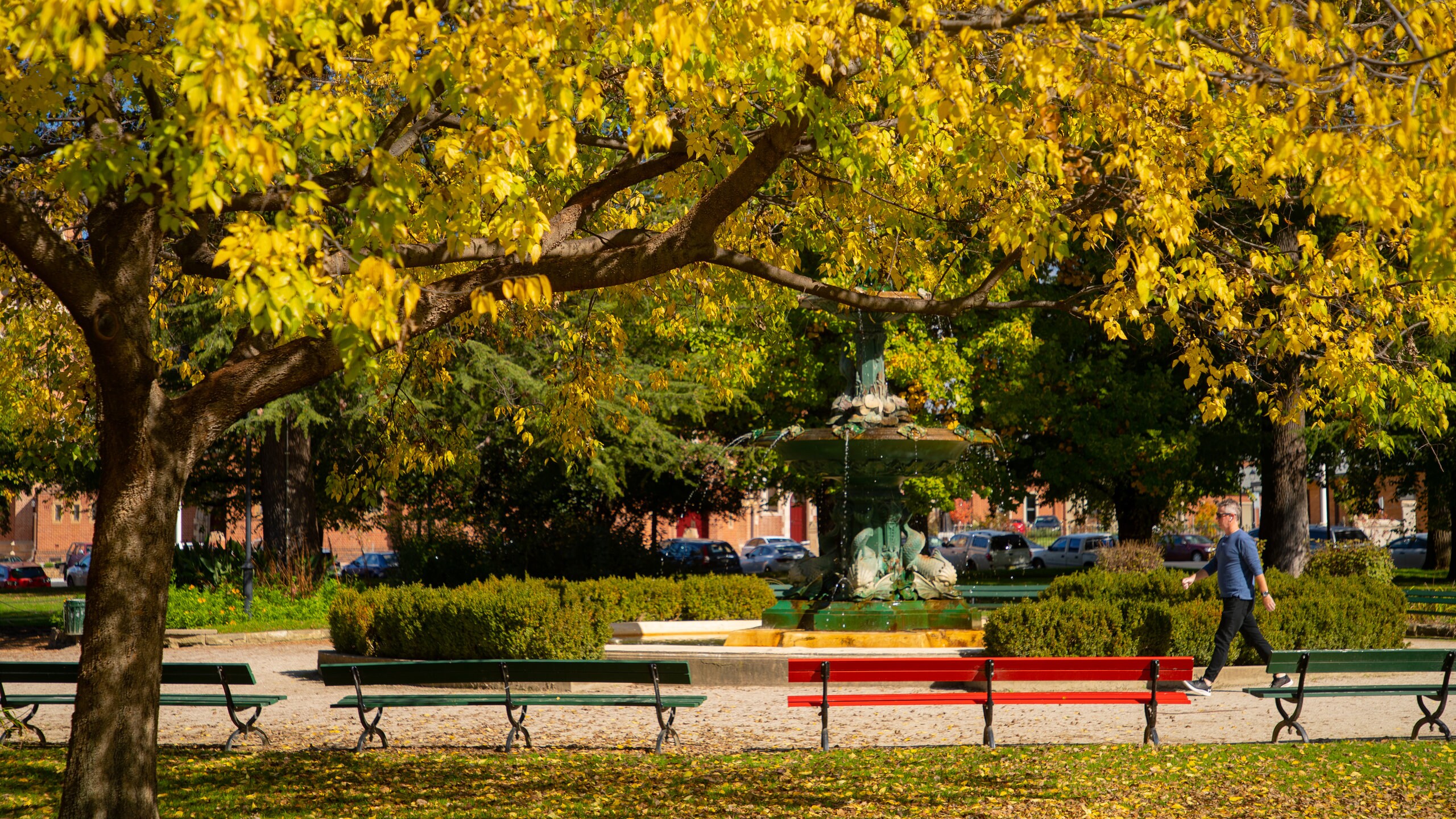 Machattie Park, Bathurst holiday accommodation: holiday houses & more ...