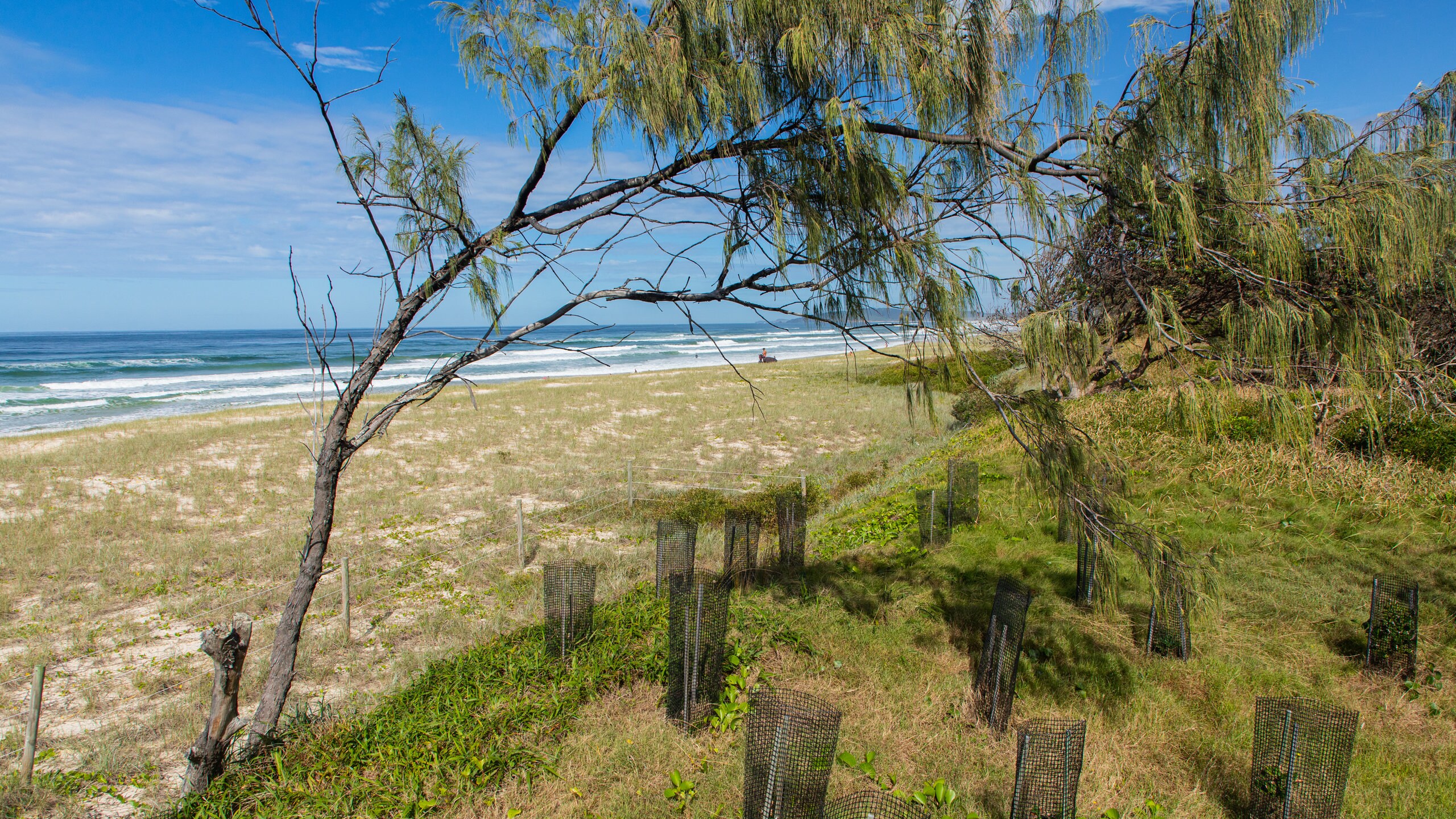Tallow Beach cottages | Stayz