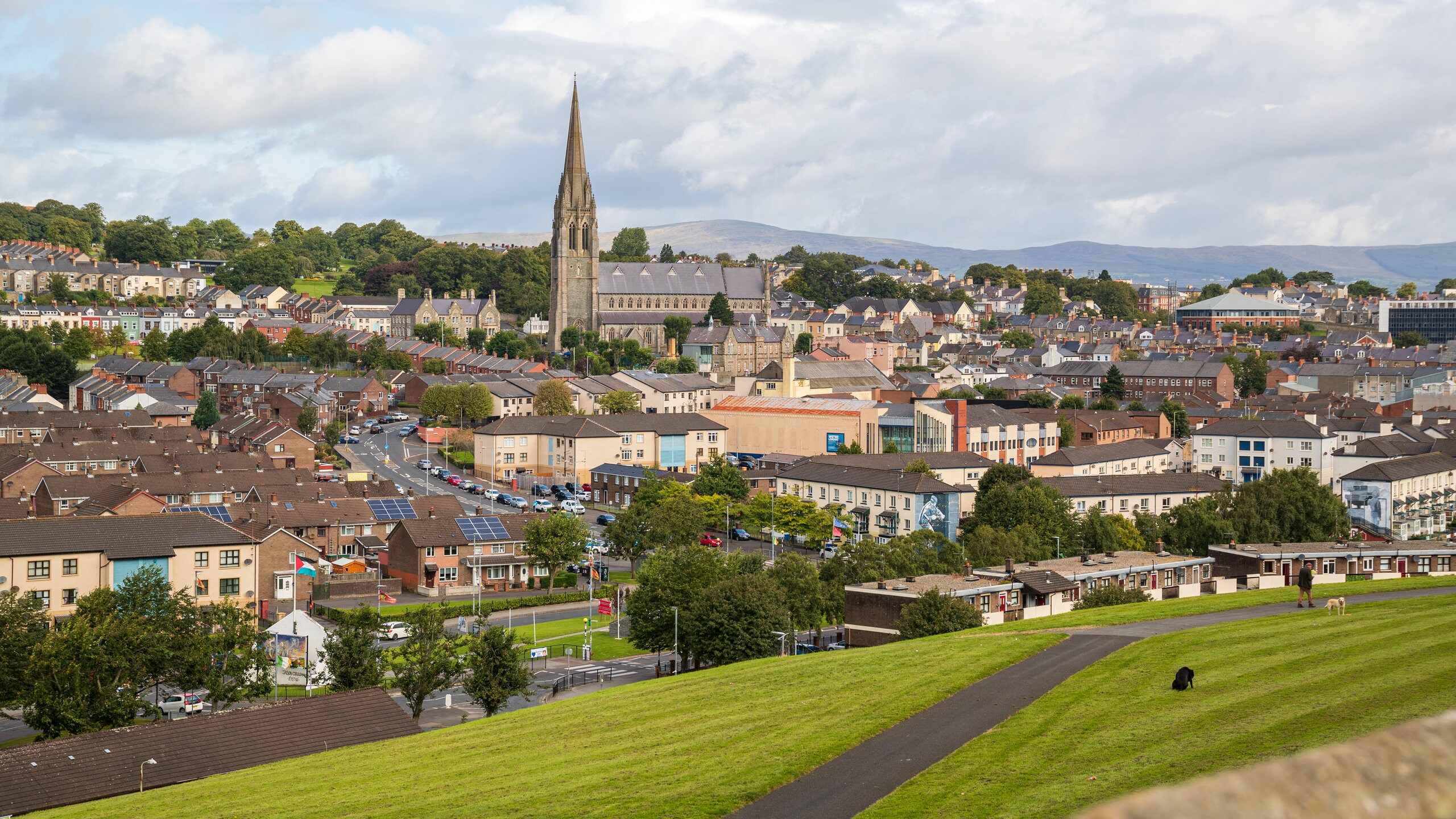 Líníochtaí De Turtair Farraige GAILEARAÍ: Tá 'Saoirse Na