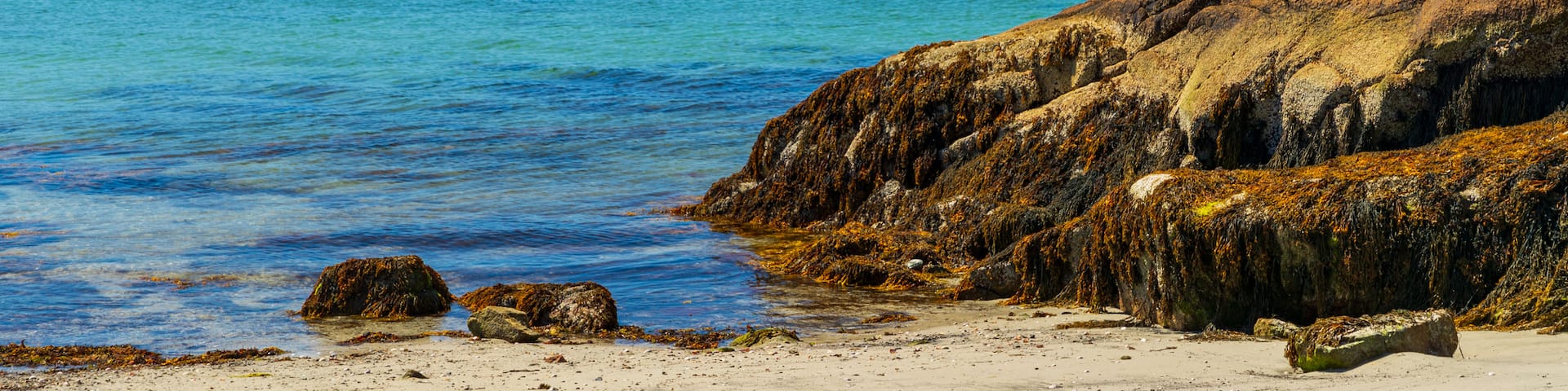 Niles Beach, Gloucester, Massachusetts, Estados Unidos