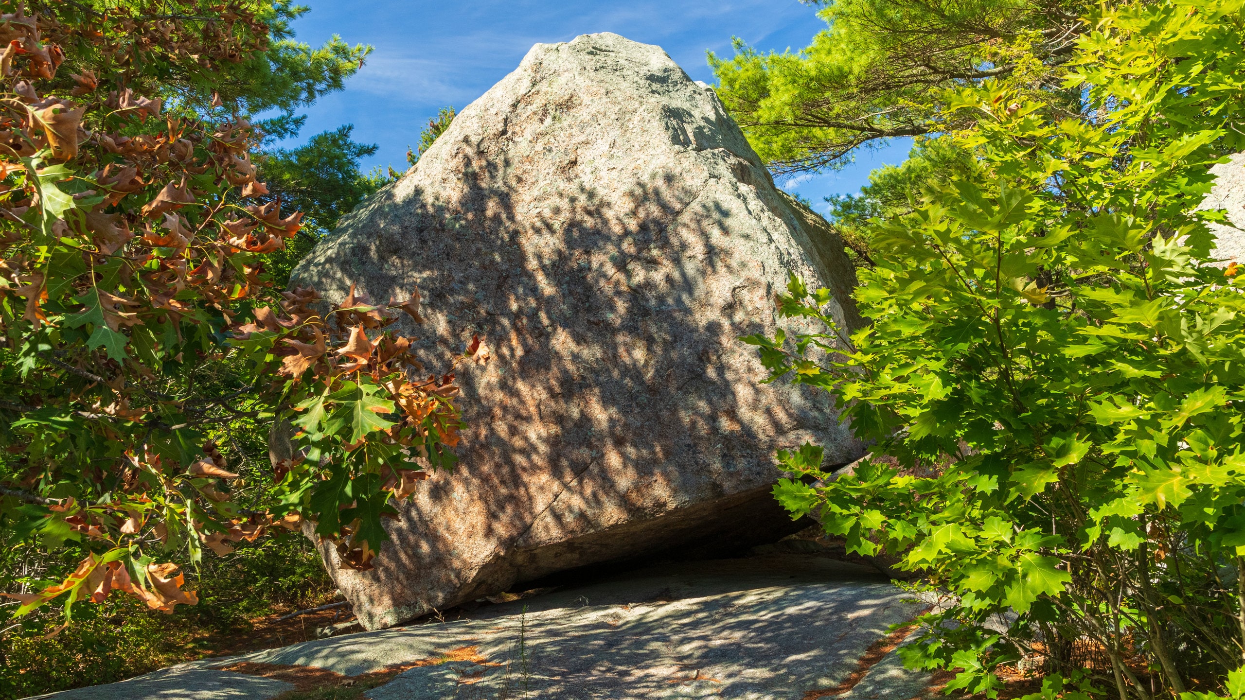 Agassiz Rock, Manchester-by-the-Sea Vacation Rentals: house rentals ...