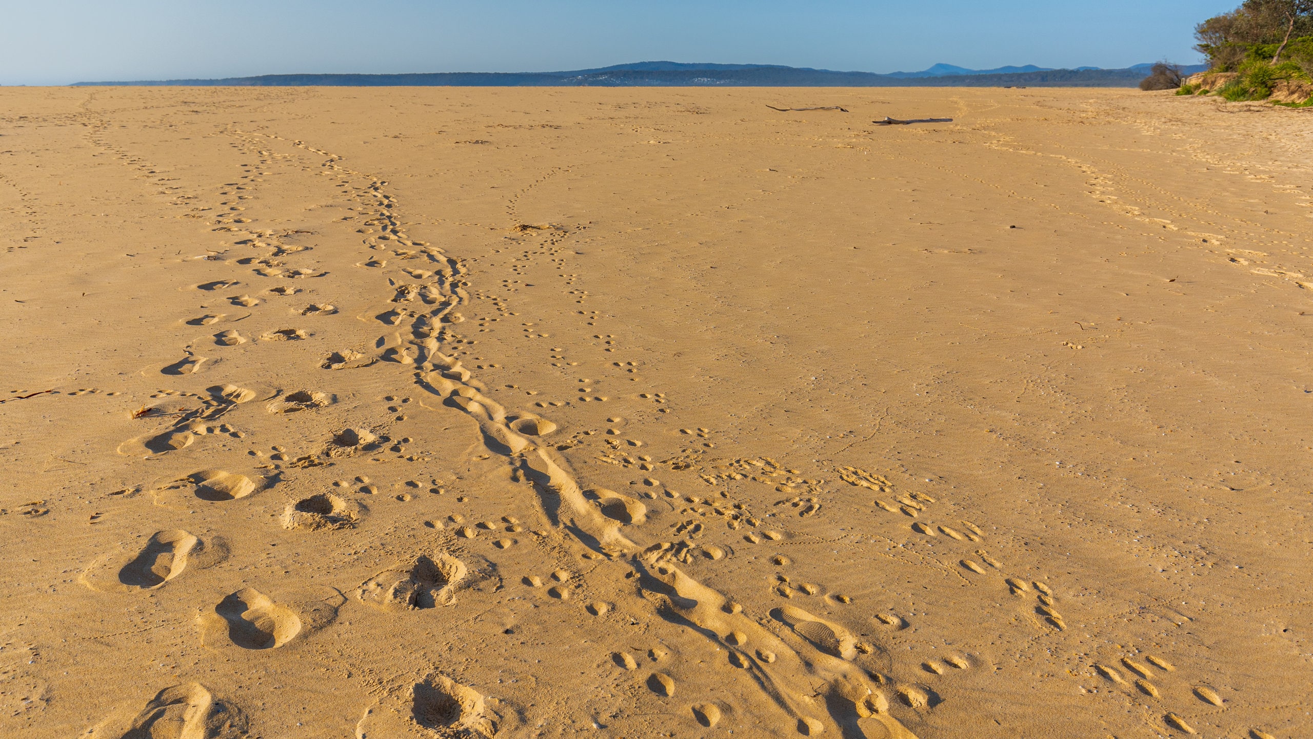 10 TOP Things to Do in Merimbula August 2024 | Expedia