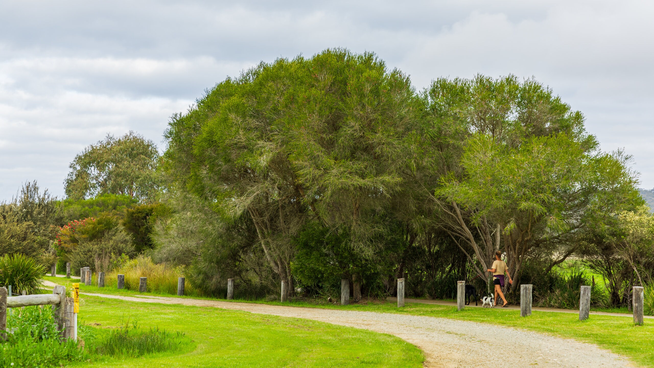 Panboola Wetlands and Heritage Project, AU holiday accommodation from ...