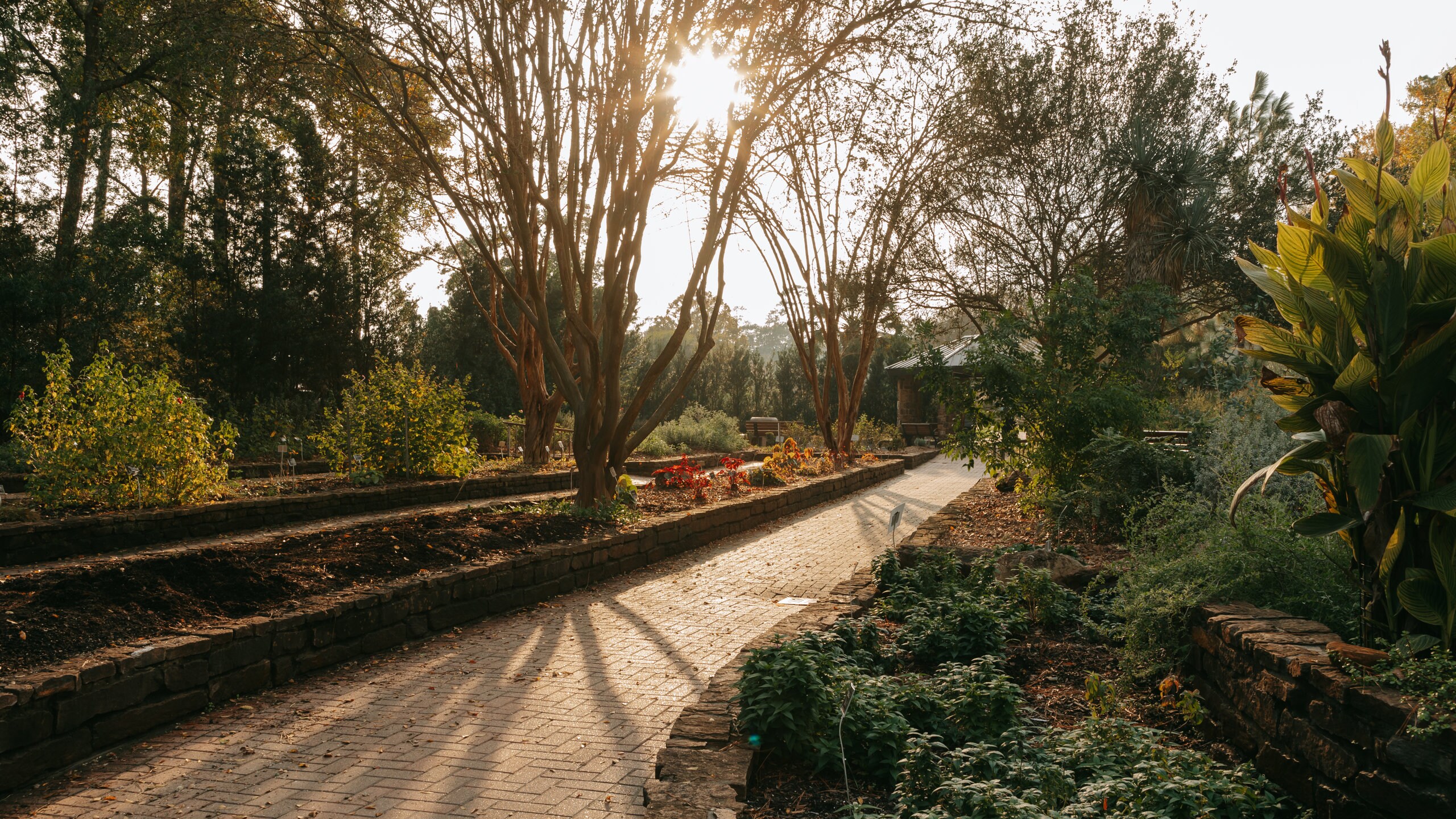 Mercer Arboretum and Botanic Gardens in Houston - Tours and Activities ...