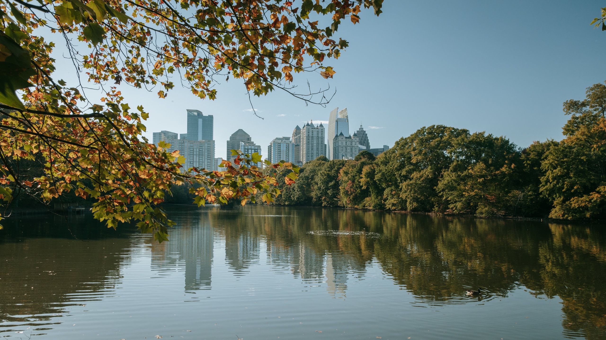 Visita Midtown: scopri il meglio di Midtown, Atlanta, nel 2024 ...