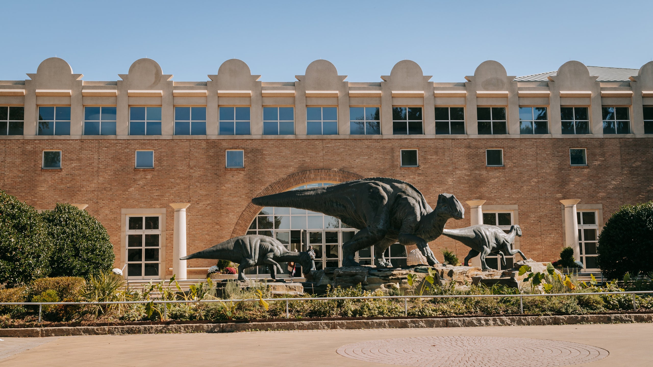 Natural History Museum Atlanta Fernbank Science Center Museum