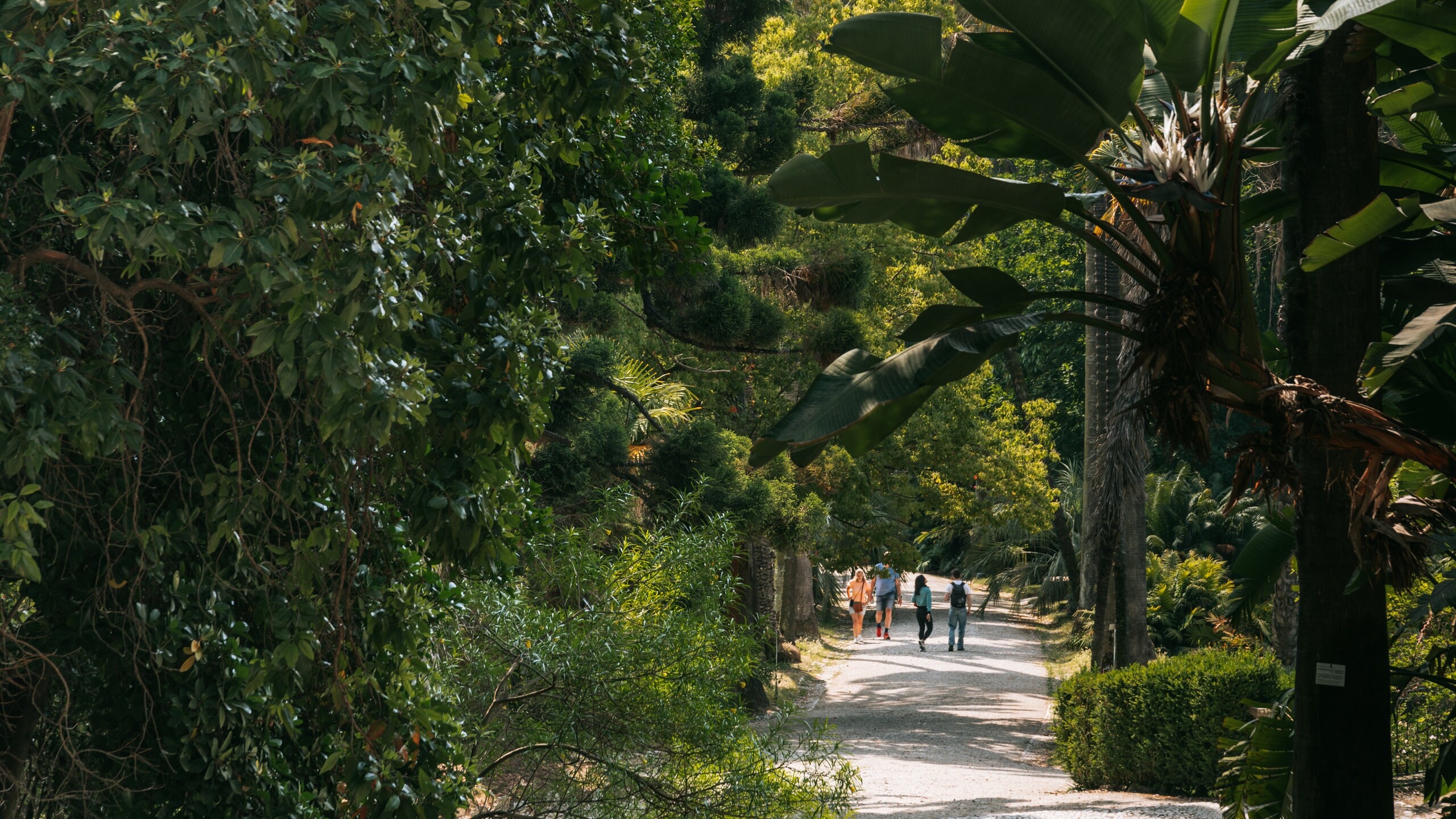 Alvalade Travel Guide: Best of Alvalade, Lisbon District Travel 2024 ...