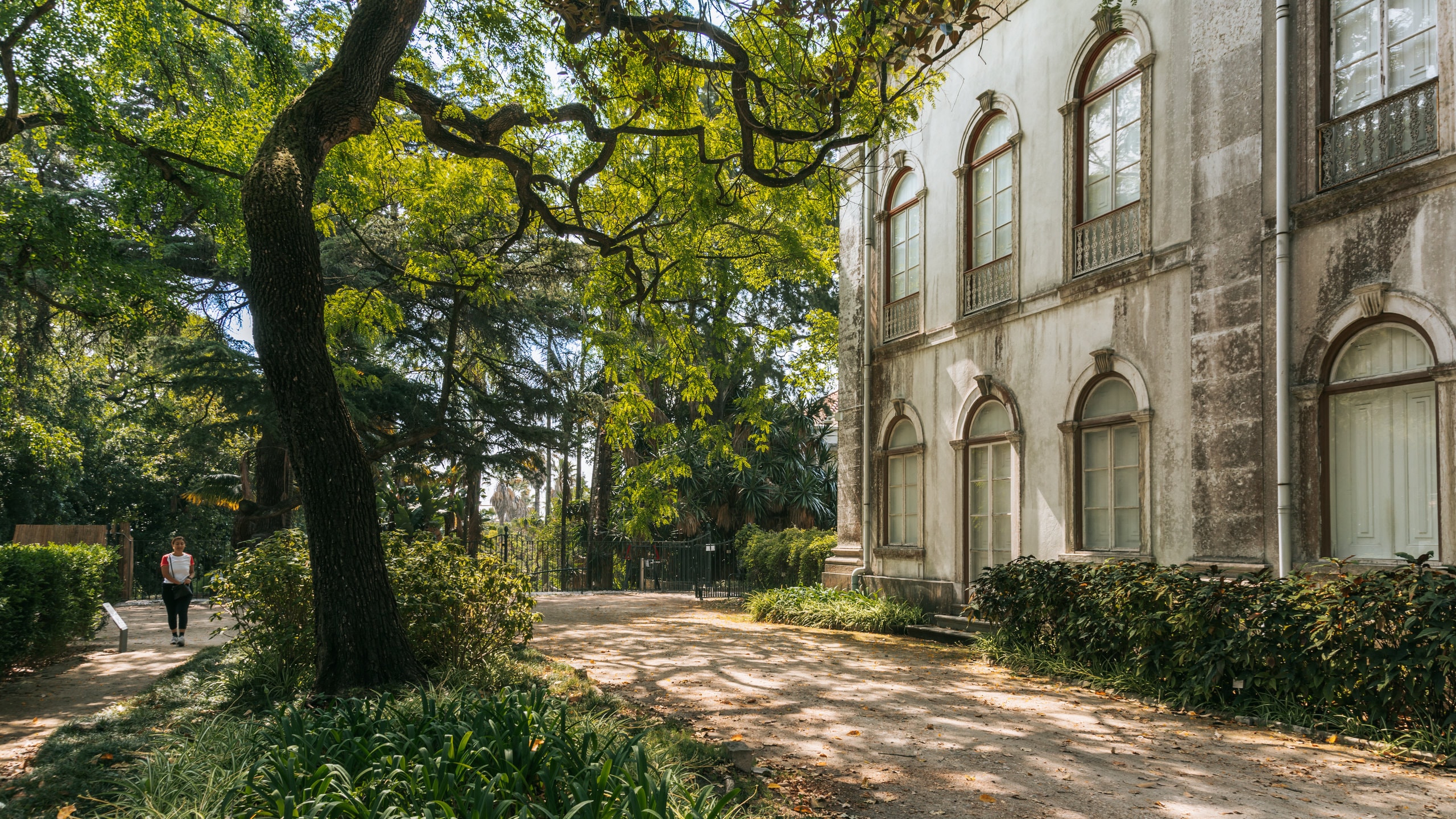 Visita Alvalade: El mejor viaje a Alvalade, Distrito de Lisboa, del ...