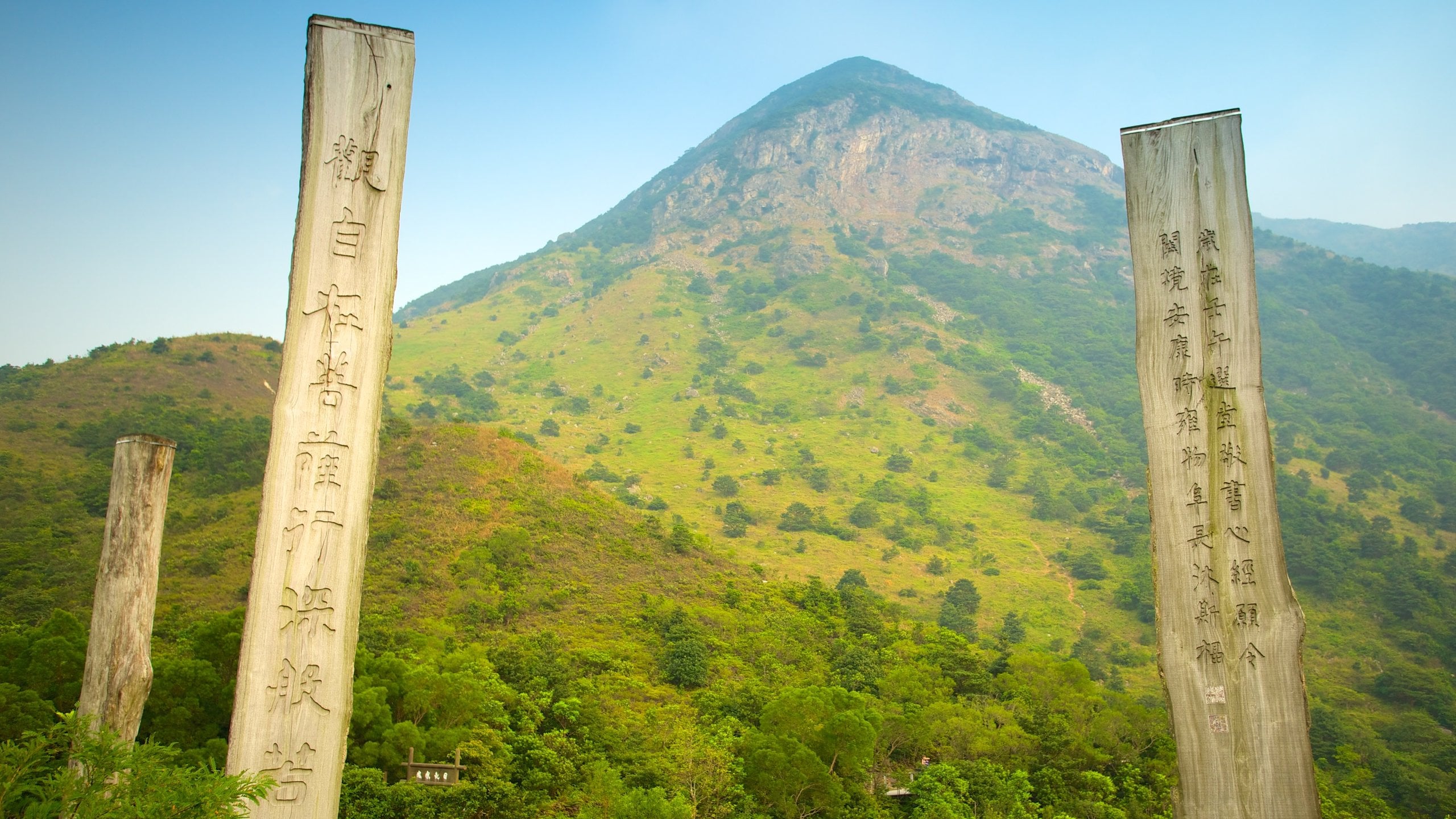 Po Lin Monastery Tours - Book Now | Expedia