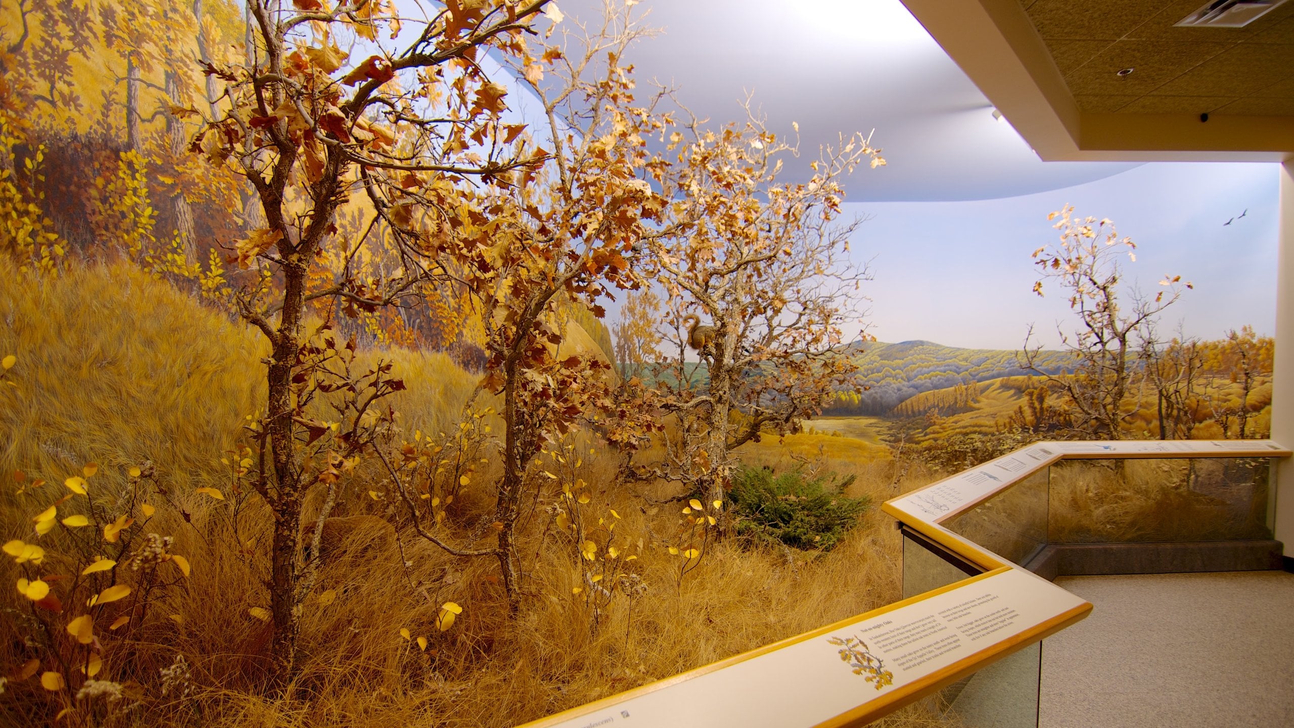 Visit Saskatchewan: Best of Saskatchewan Tourism | Expedia Travel Guide