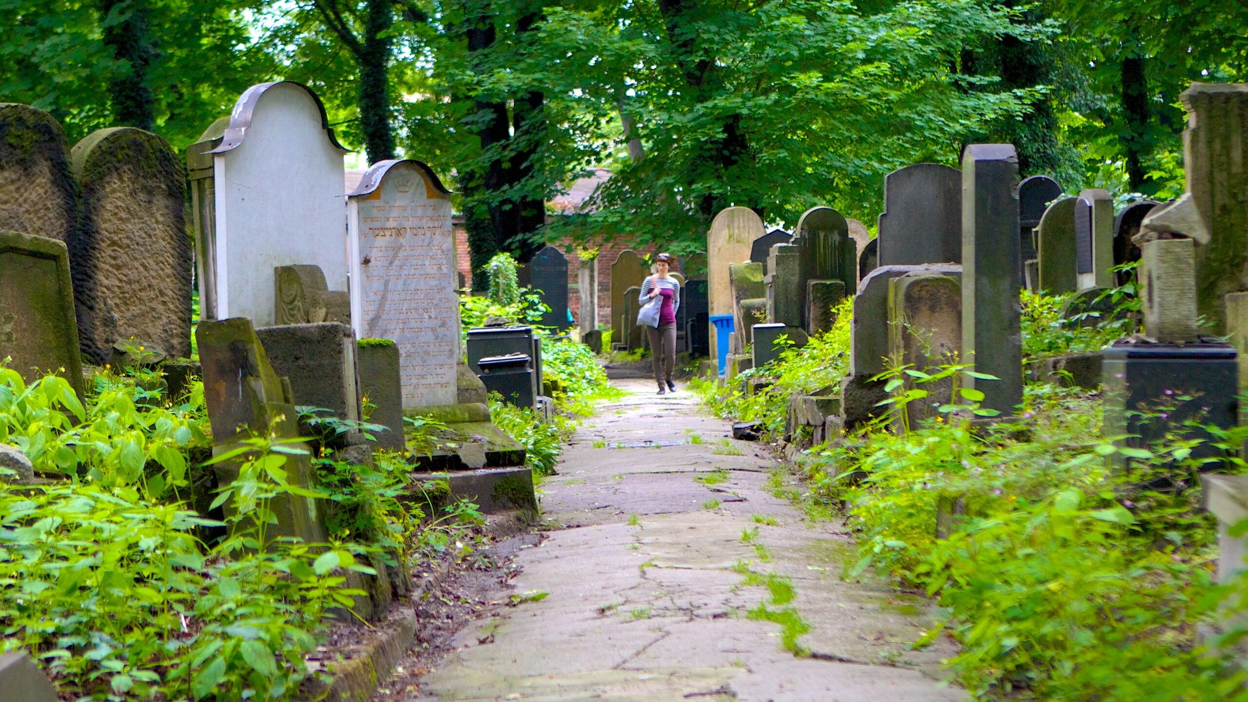 Visite Cemitério Judaico em Centro da cidade de Cracóvia | Expedia.com.br