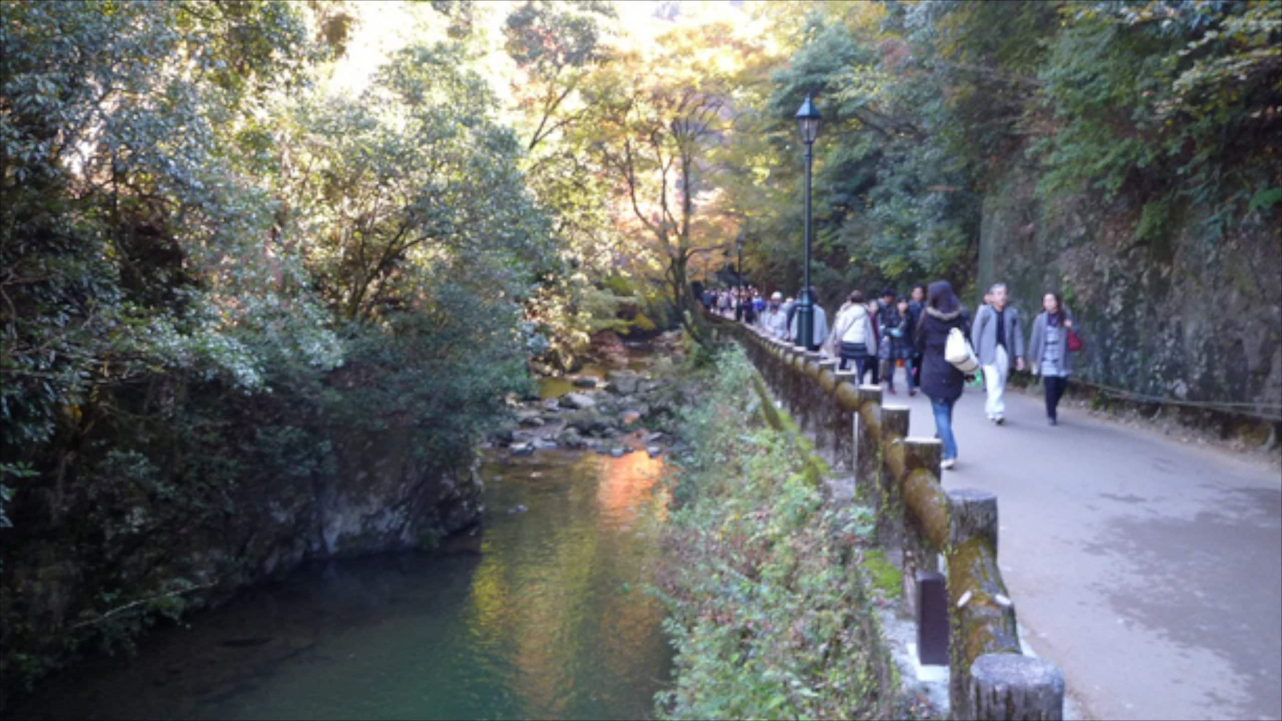 Visit Minoh: 2022 Travel Guide for Minoh, Osaka Prefecture | Expedia