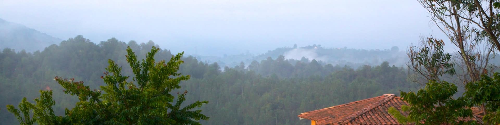 Região Andina, Colômbia