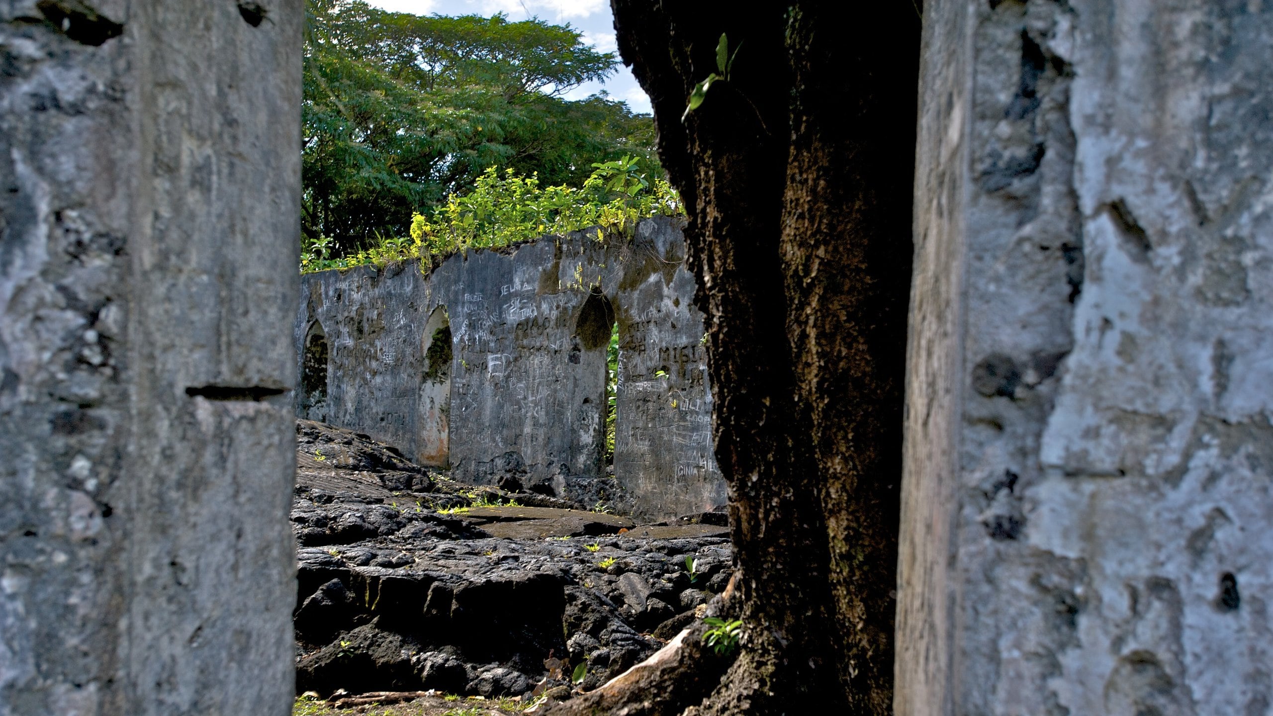 Saleaula Lava Fields in Samoa - Touren und Aktivitäten | Expedia.de