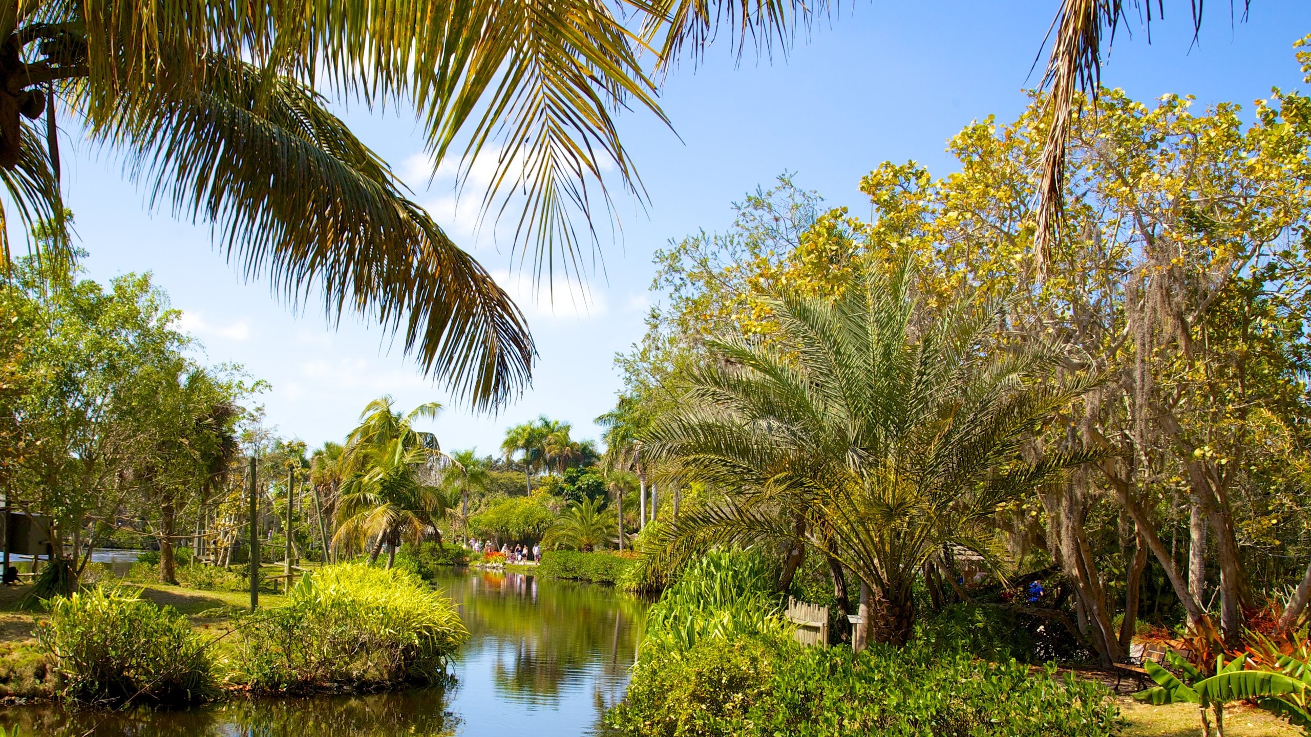 Ferienwohnung Naples Zoo At Caribbean Gardens US Hotels Mehr FeWo ferienwohnung-naples-zoo-at-caribbean-gardens-us-hotels-mehr-fewo
