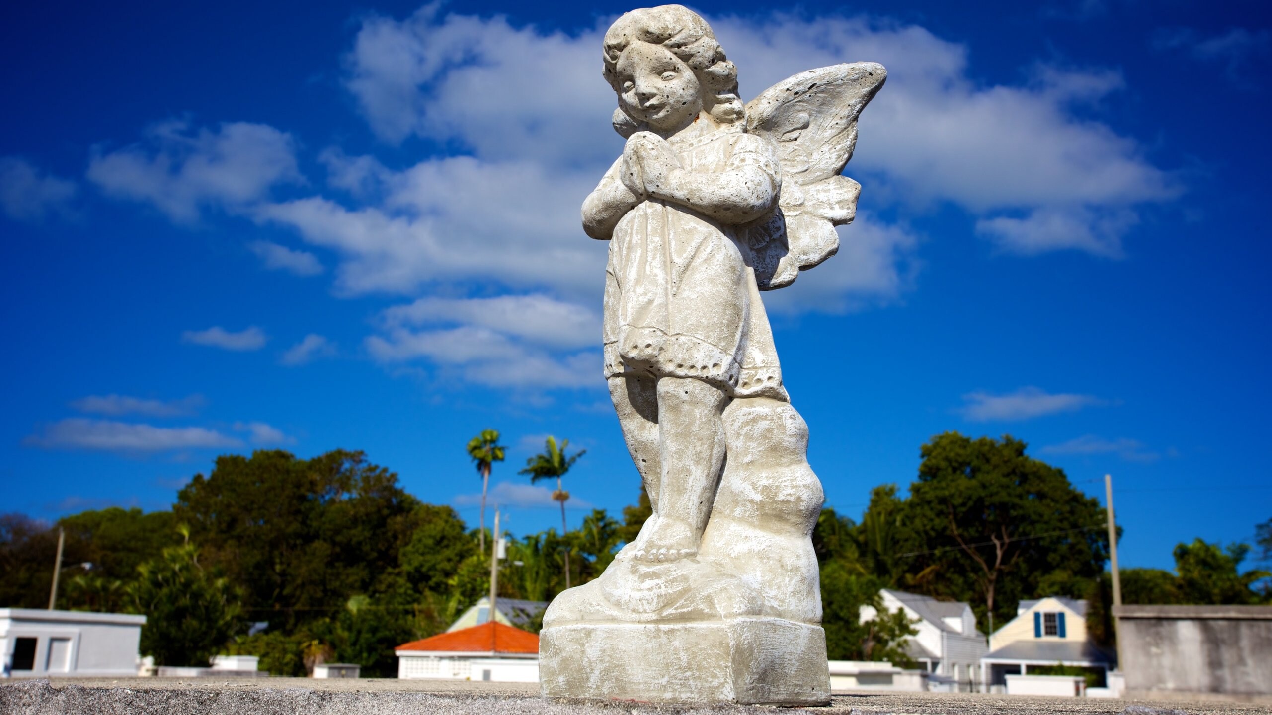 Key West Cemetery in Old Town Key West - Tours and Activities | Expedia