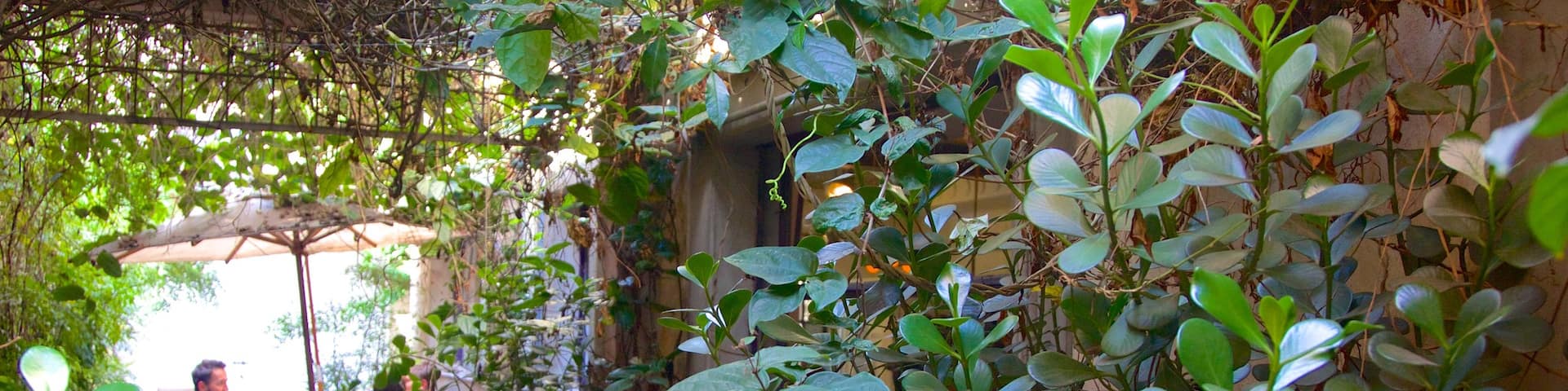 Vila Madalena, São Paulo, Estado de São Paulo, Brasil