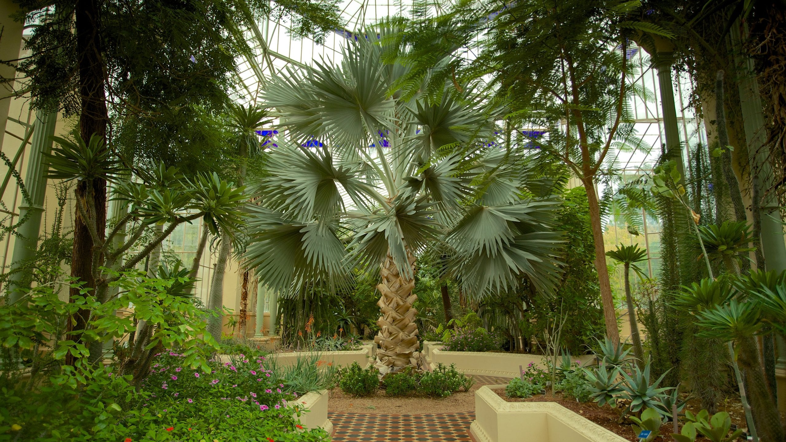 Adelaide Botanic Gardens Cafe | Fasci Garden