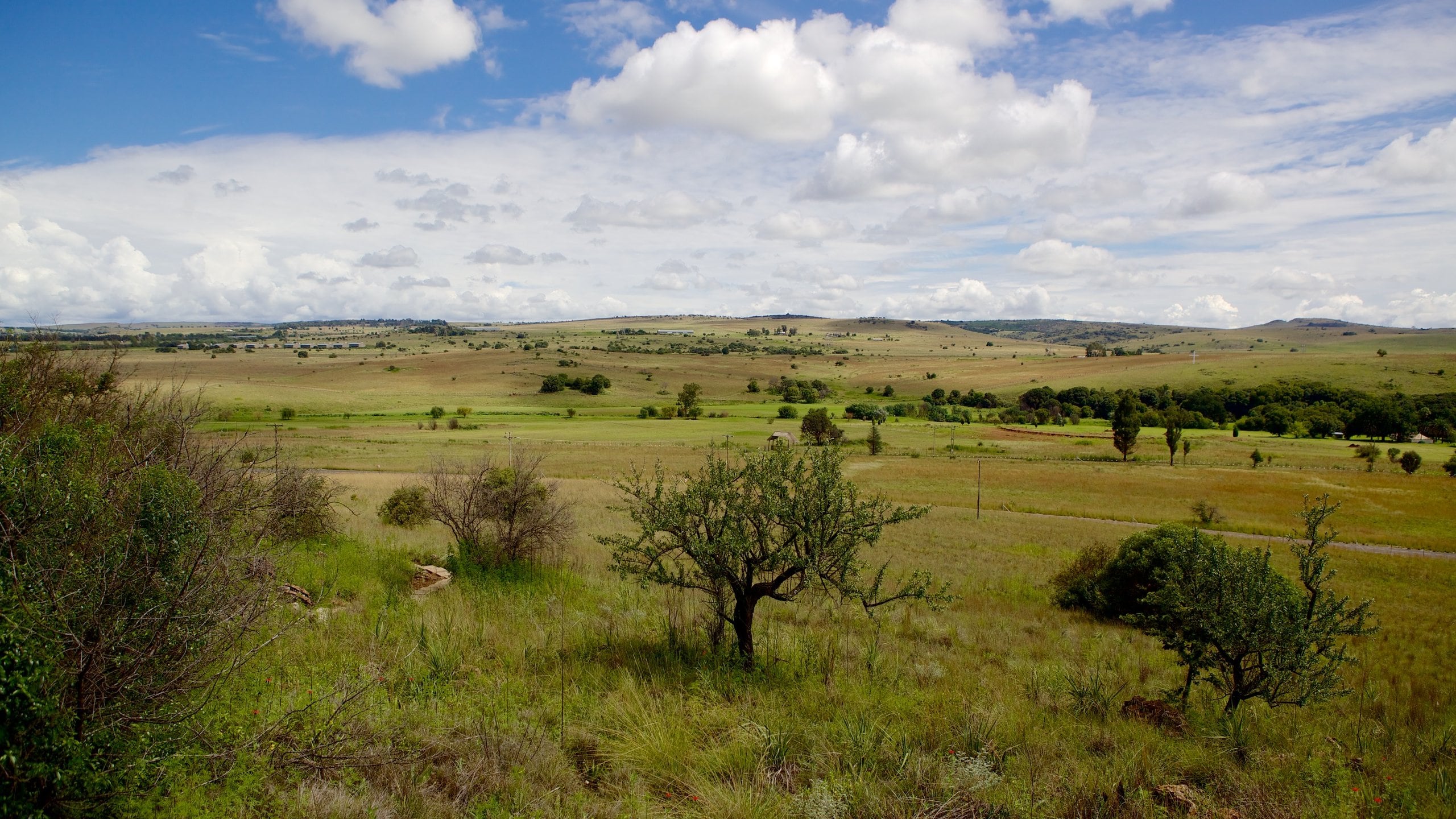 Sterkfontein Caves - Johannesburg - Gauteng Attraction | Expedia.com.au