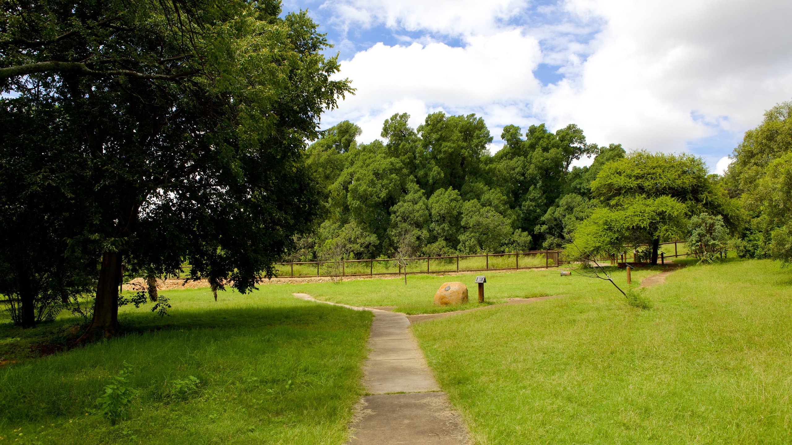 Wonderboom Nature Reserve South Africa Heather Mason | I Just