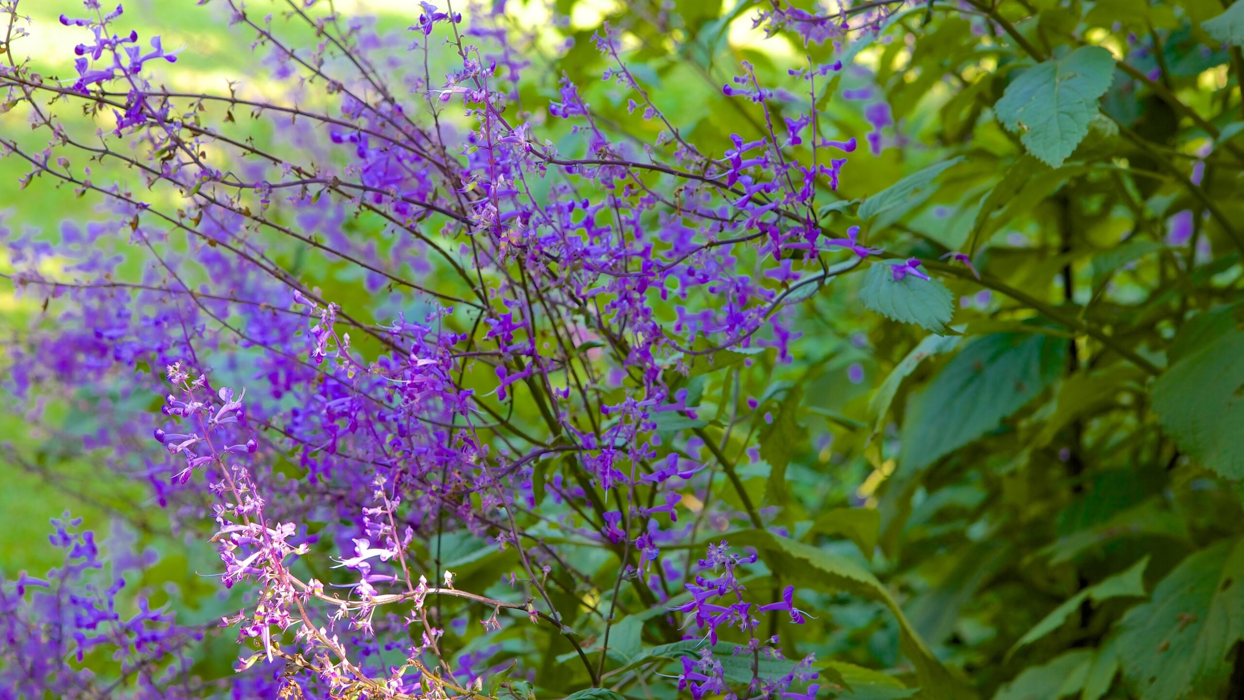 Lowveld National Botanical Garden - Tours and Activities | Expedia