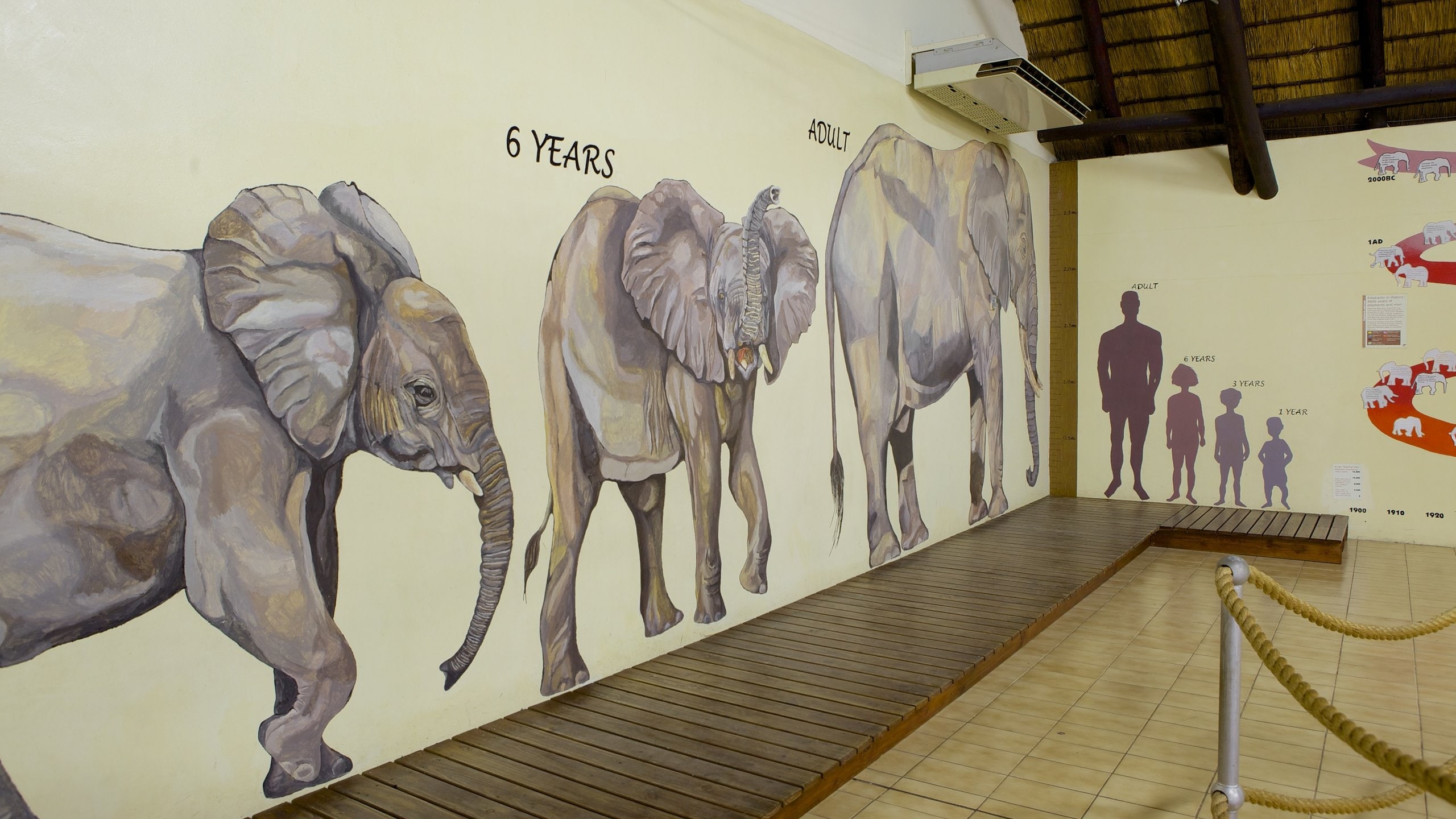 Letaba Elephant Hall Tours - Book Now | Expedia