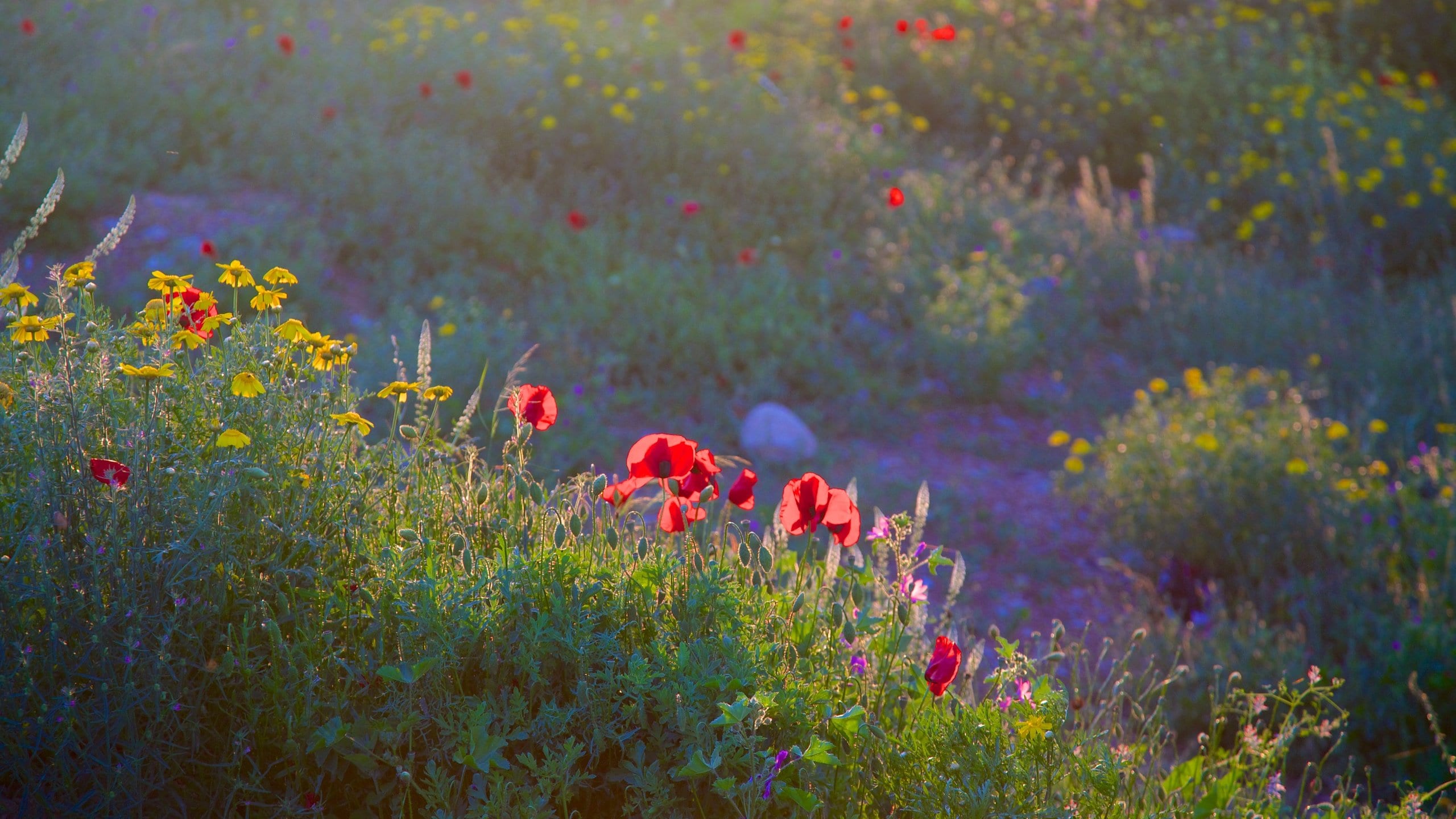 Acronafplia Tours - Book Now | Expedia