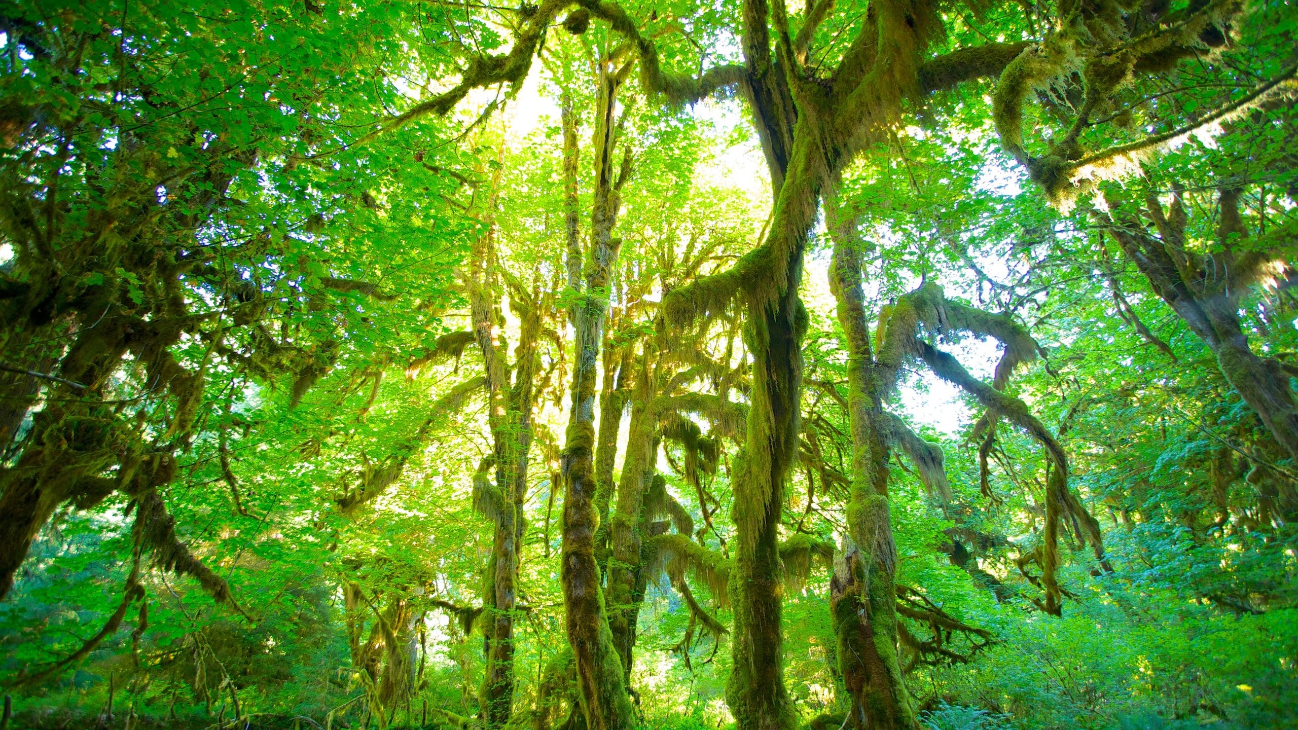 Visit Cashmere: 2023 Travel Guide for Cashmere, Washington | Expedia