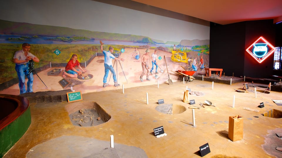 State Museum of Pennsylvania que inclui vistas internas