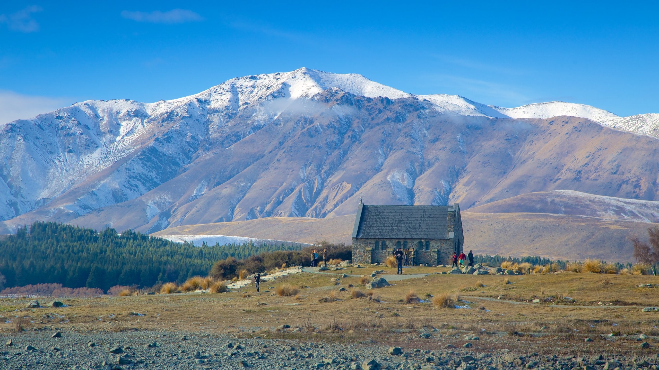 Where to Stay in Lake Tekapo: Best neighborhoods | Expedia