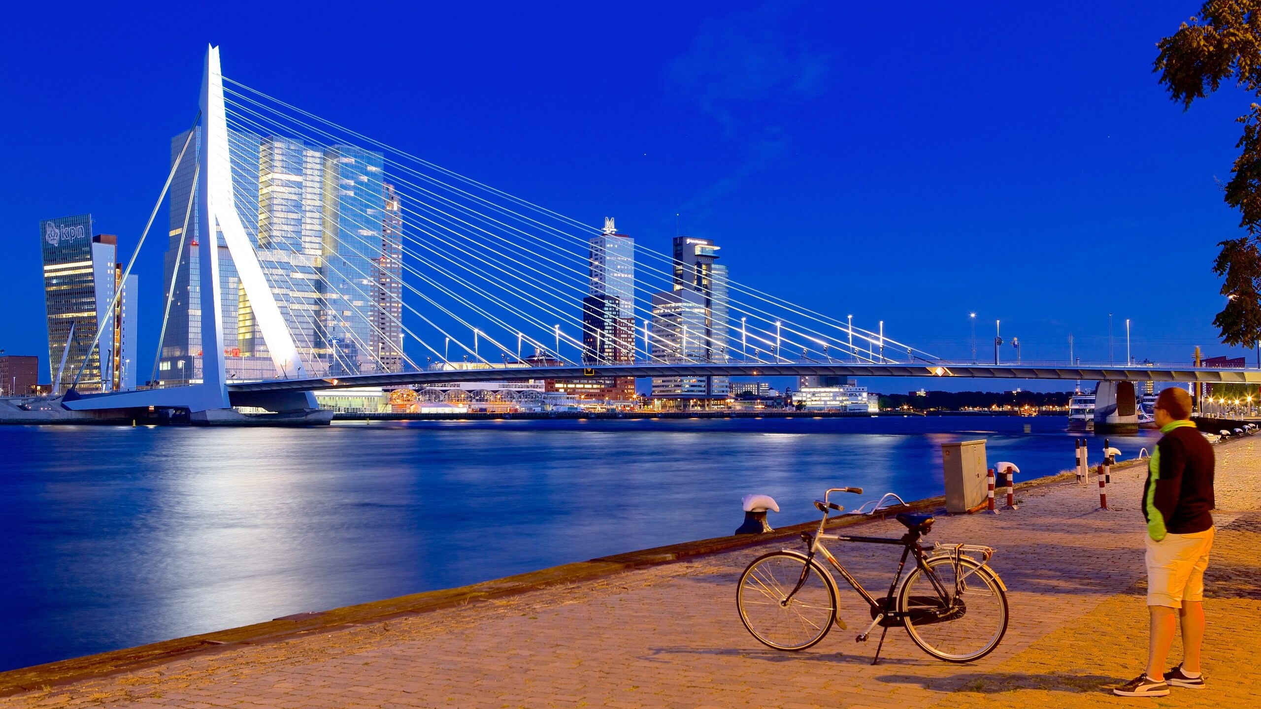 Visit Rotterdam Best Of Rotterdam South Holland Travel 2023 Expedia Visit Rotterdam Best Of Rotterdam South Holland Travel 2023 Expedia