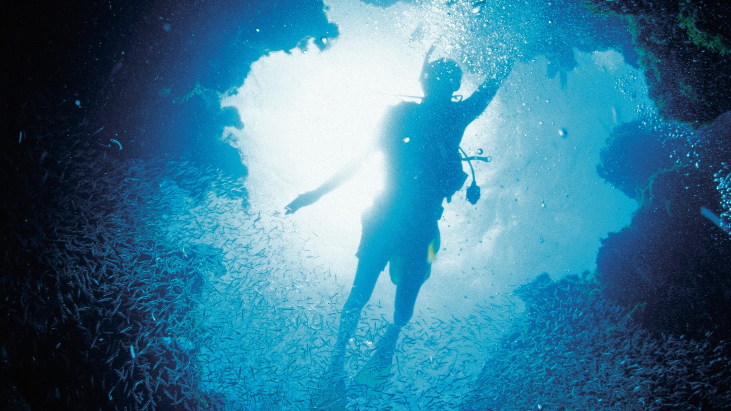 Visit Andros Island: Best of Andros Island Tourism | Expedia Travel Guide