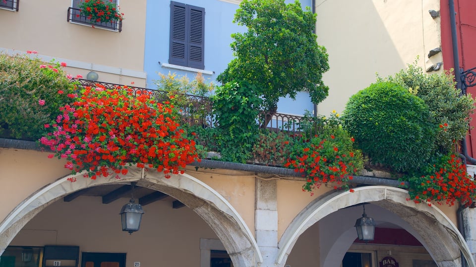 Desenzano del Garda mostrando flores