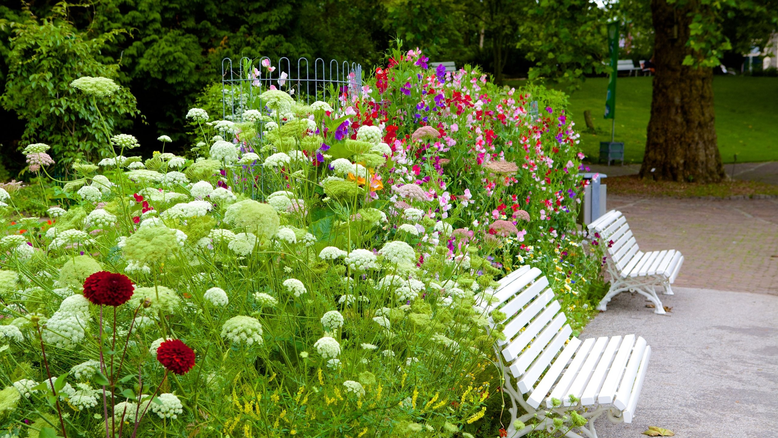 Hortus Botanicus - Tours and Activities | Expedia