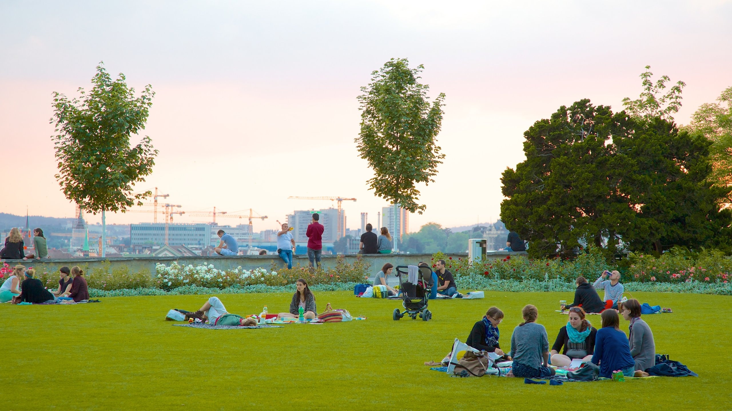 Bern Rose Garden in Kirchenfeld-Schosshalde - Tours and Activities ...
