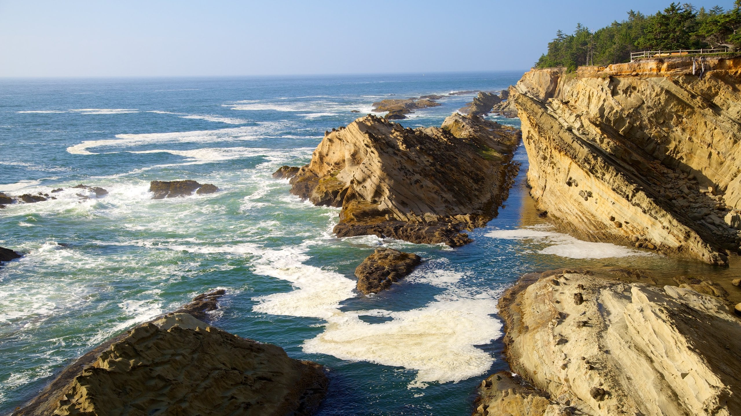 Shore Acres State Park Coos Bay All You Need To Know Before You Go