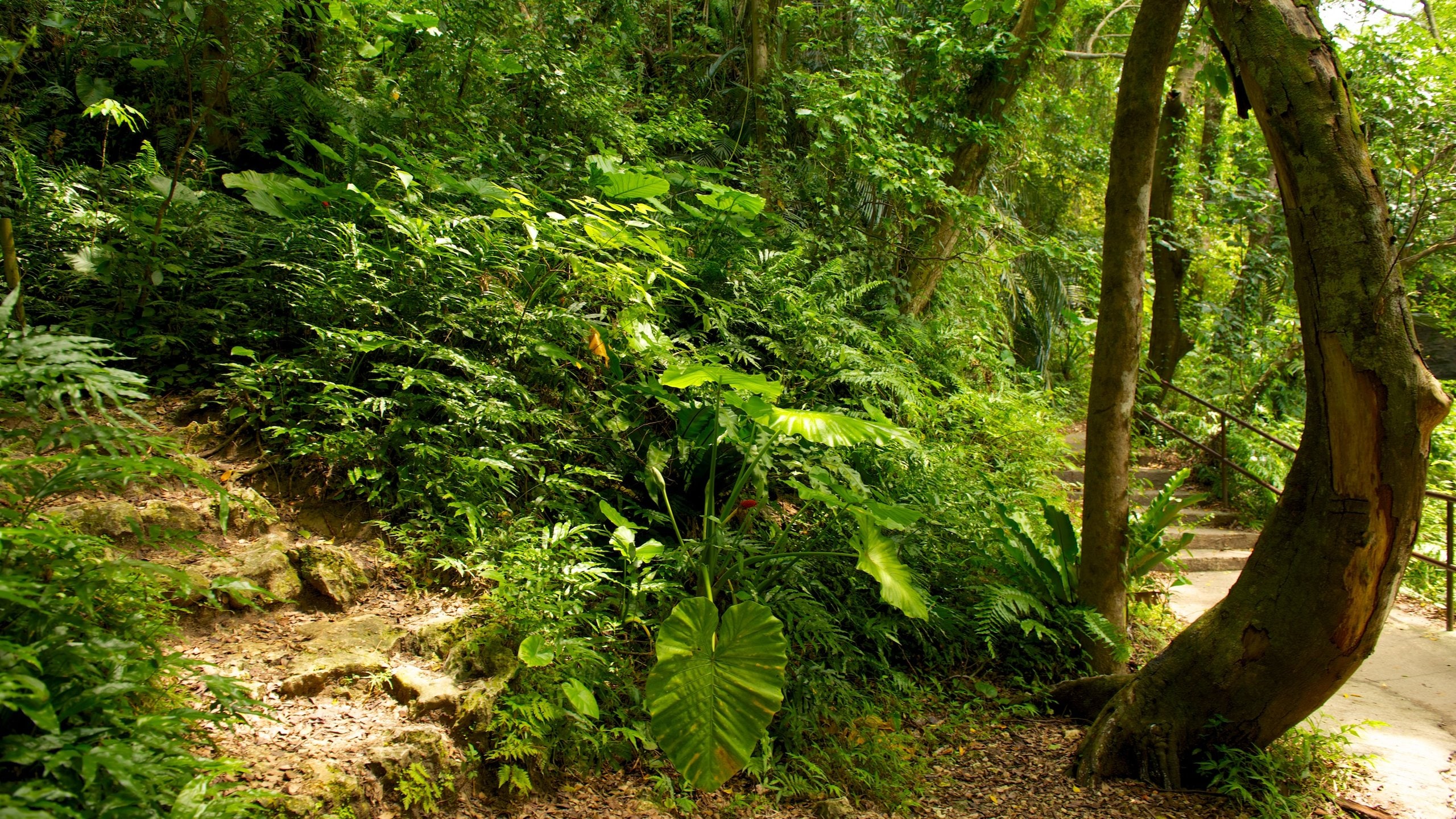 Valley of Gangala, JP Vacation Rentals: house rentals & more | Vrbo