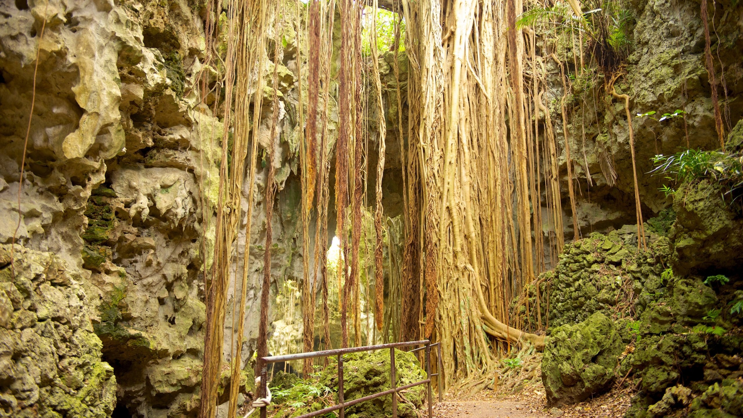 Valley of Gangala Tours - Book Now | Expedia