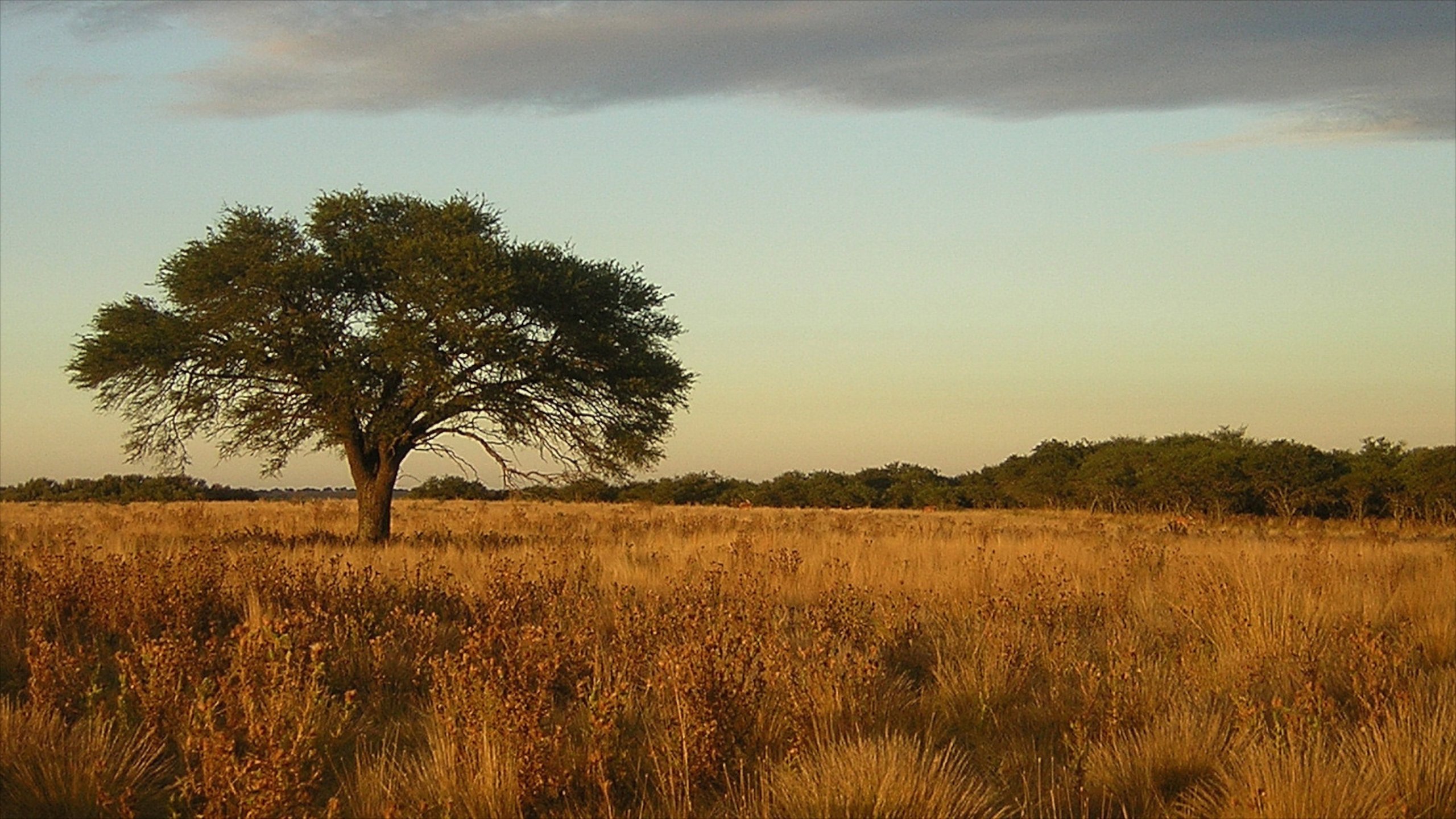 Besök La Pampa: det bästa med La Pampa – resa i Argentina 2022 | Turism ... Besök La Pampa: det bästa med La Pampa – resa i Argentina 2022 | Turism ...