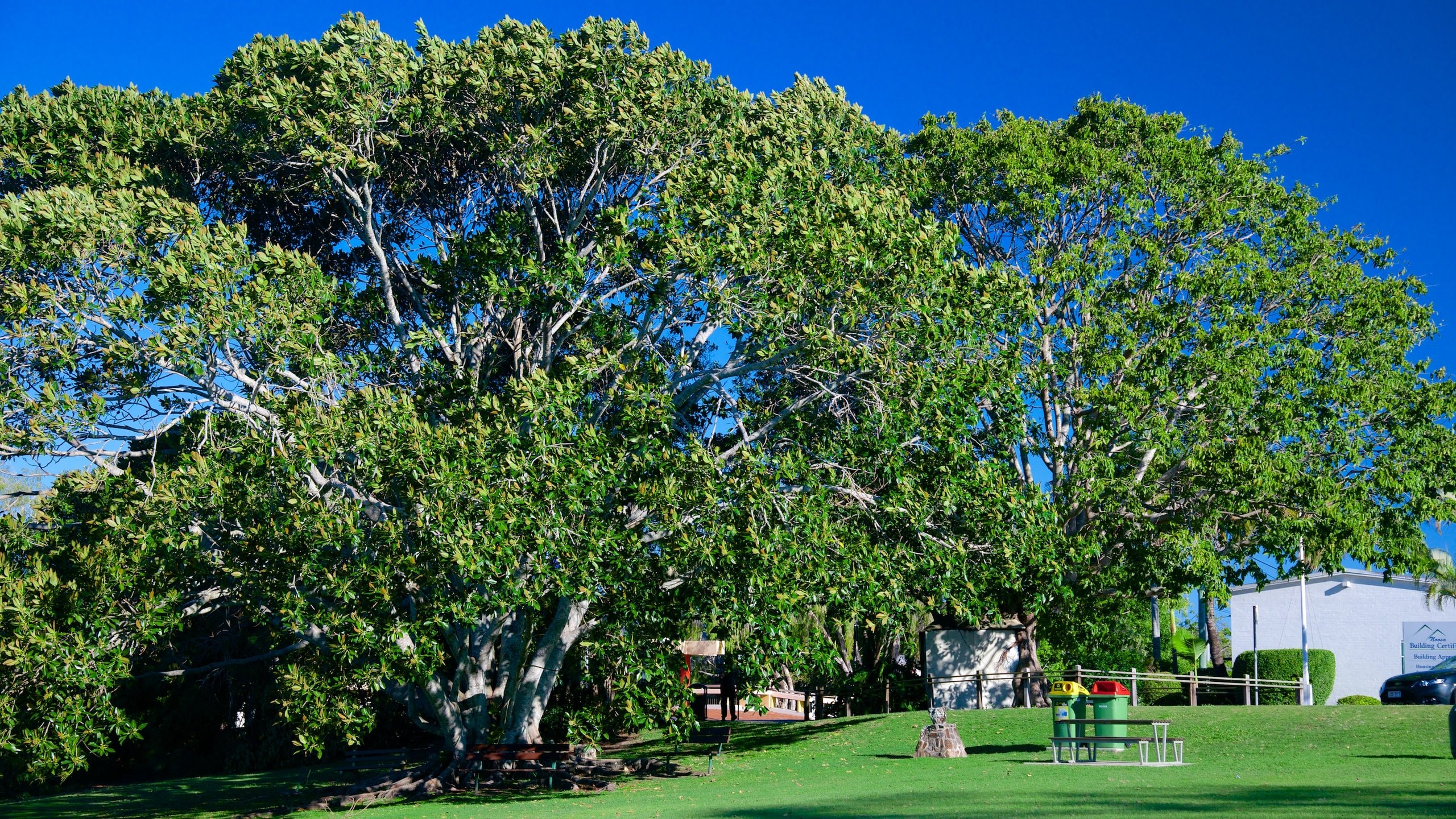 Tewantin, QLD, AU Vacation Rentals: house rentals & more | Vrbo
