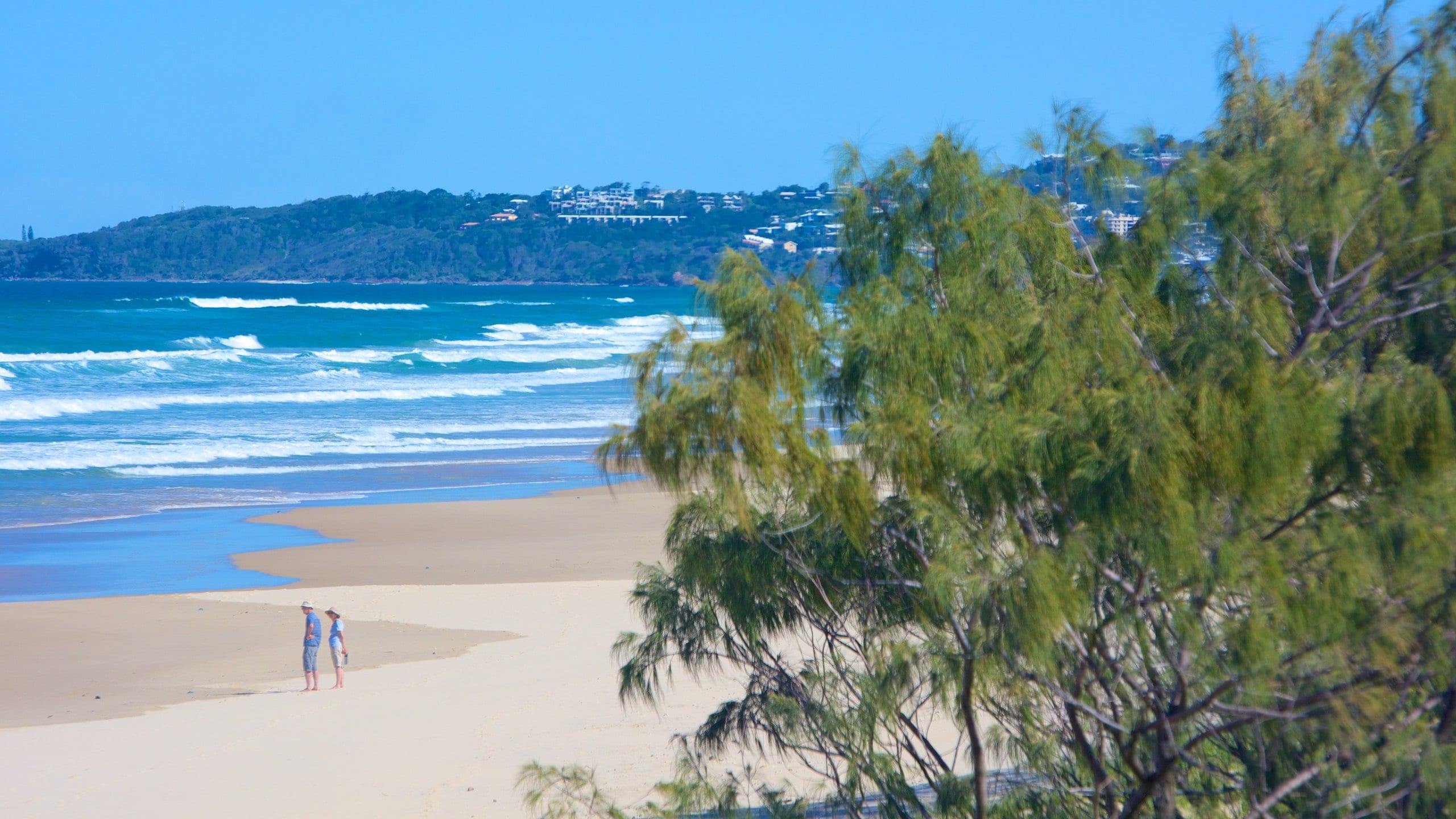Visit Peregian Beach: 2024 Peregian Beach, Sunshine Coast Travel Guide ...
