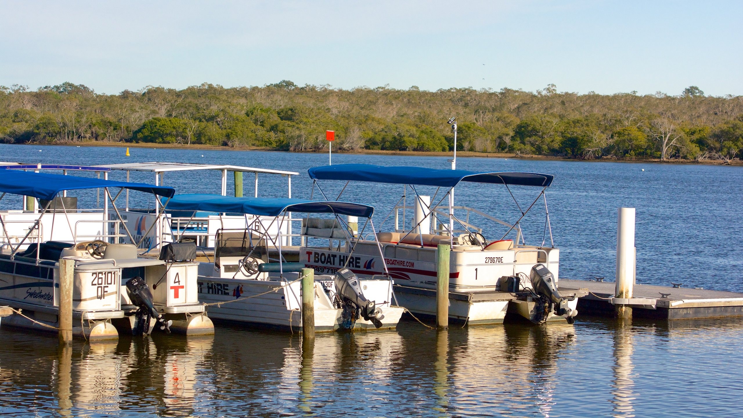 Visit Noosaville: 2024 Noosaville, Sunshine Coast Travel Guide | Expedia