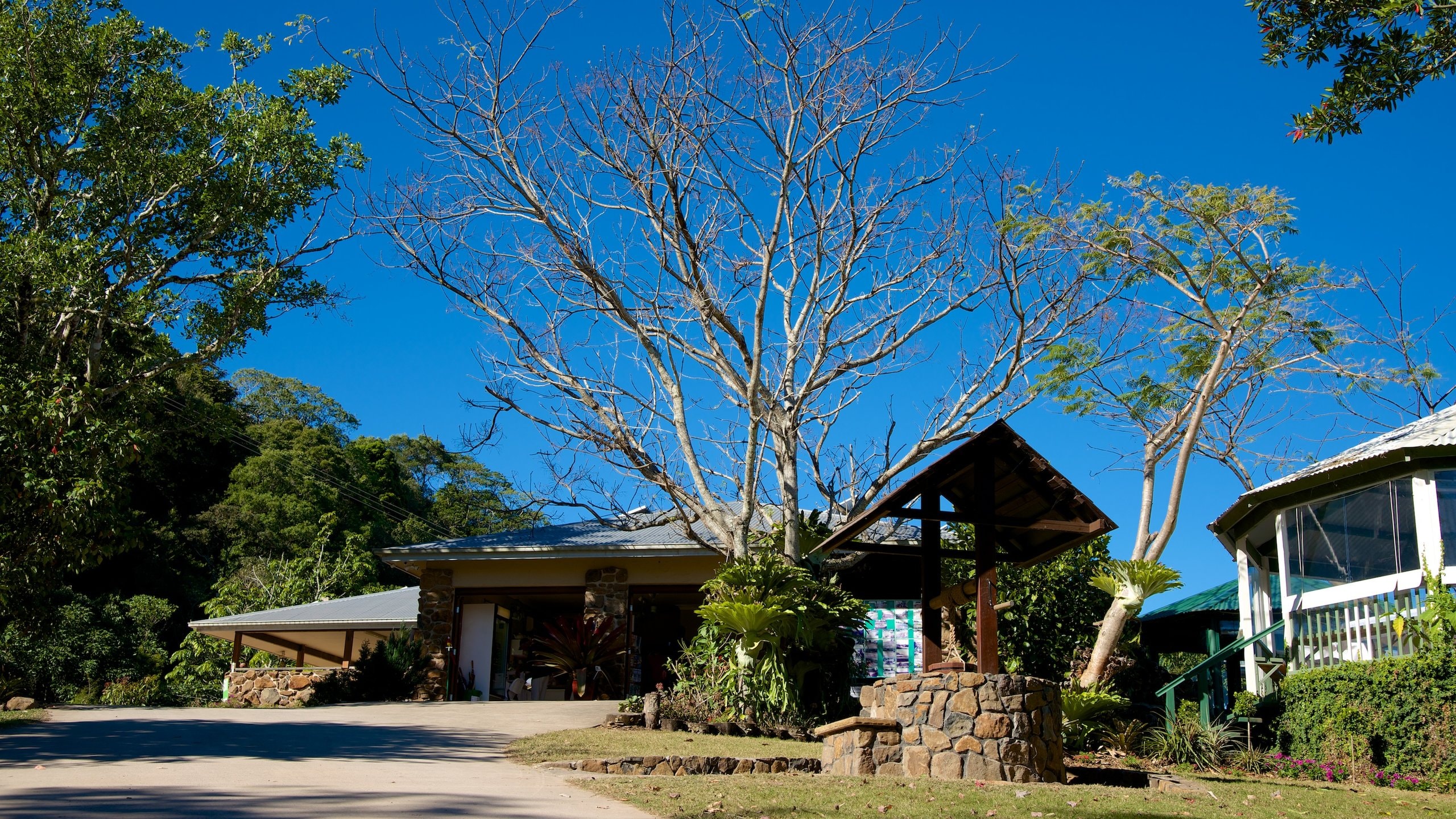 Maleny Botanic Gardens & Bird World, AU Vacation Rentals: house rentals ...