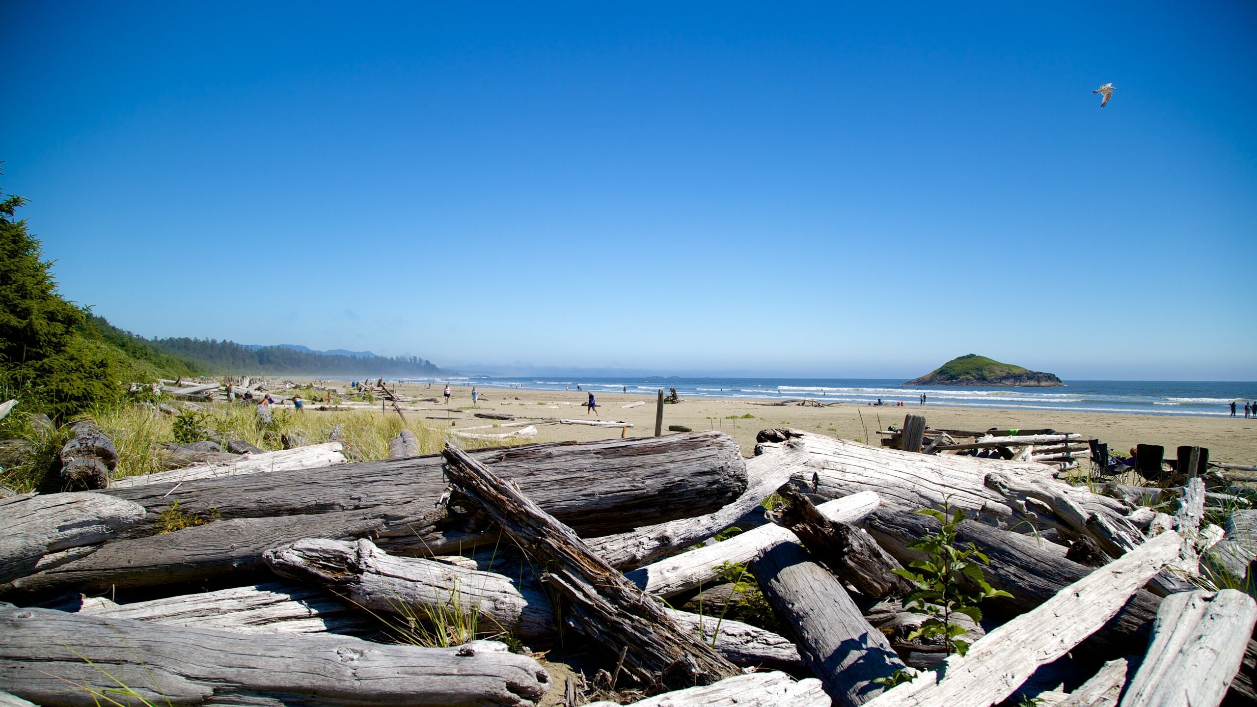 Long Beach Vancouver Island A Tiny Place In The World