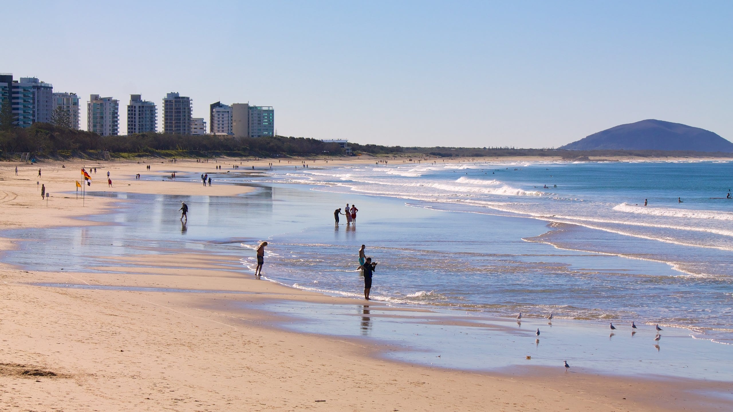 Alex Beach Vacation Rentals: hotel rentals & more | Vrbo