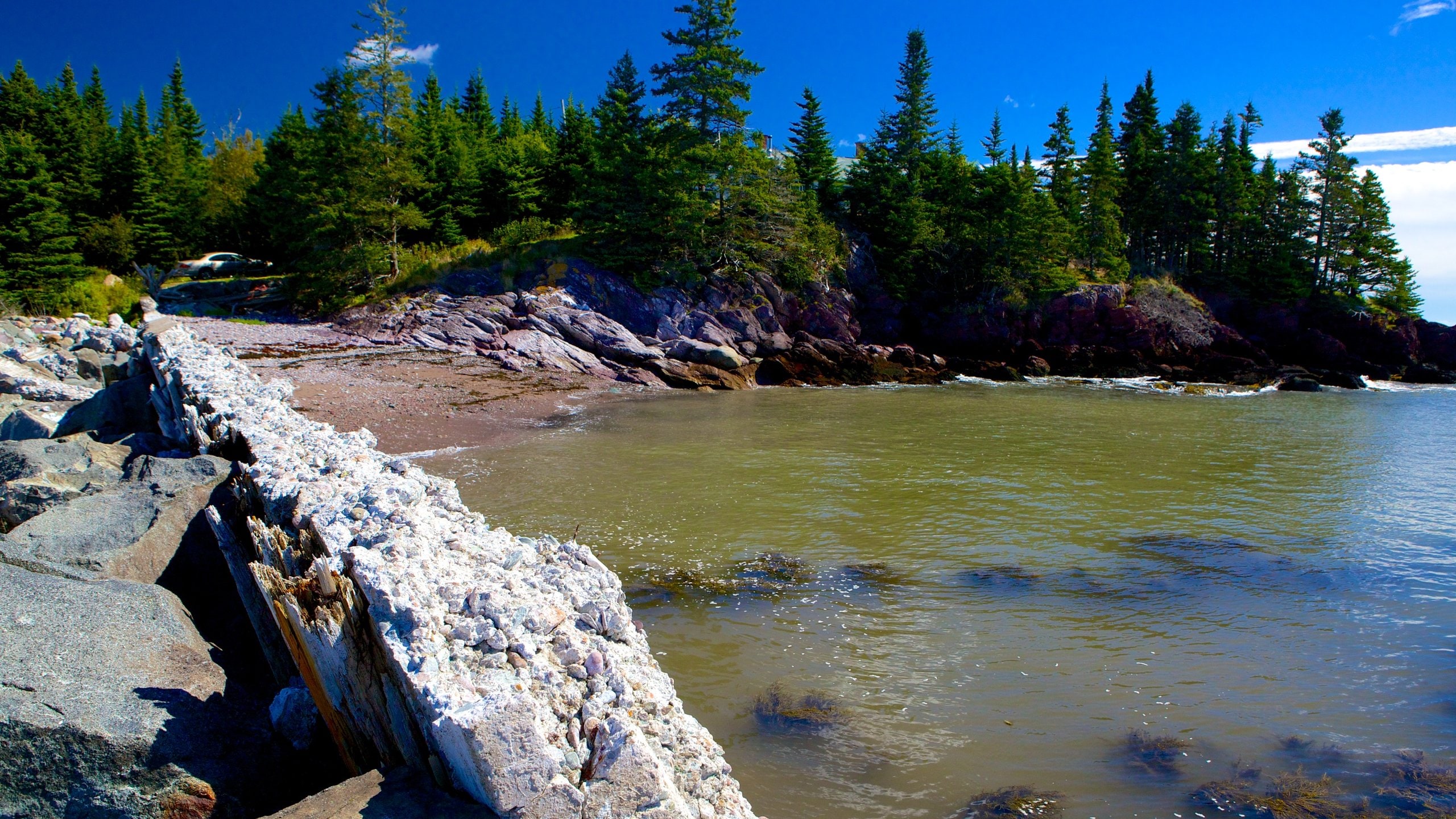 Musquash Parish, CA Vacation Rentals: house rentals & more | Vrbo