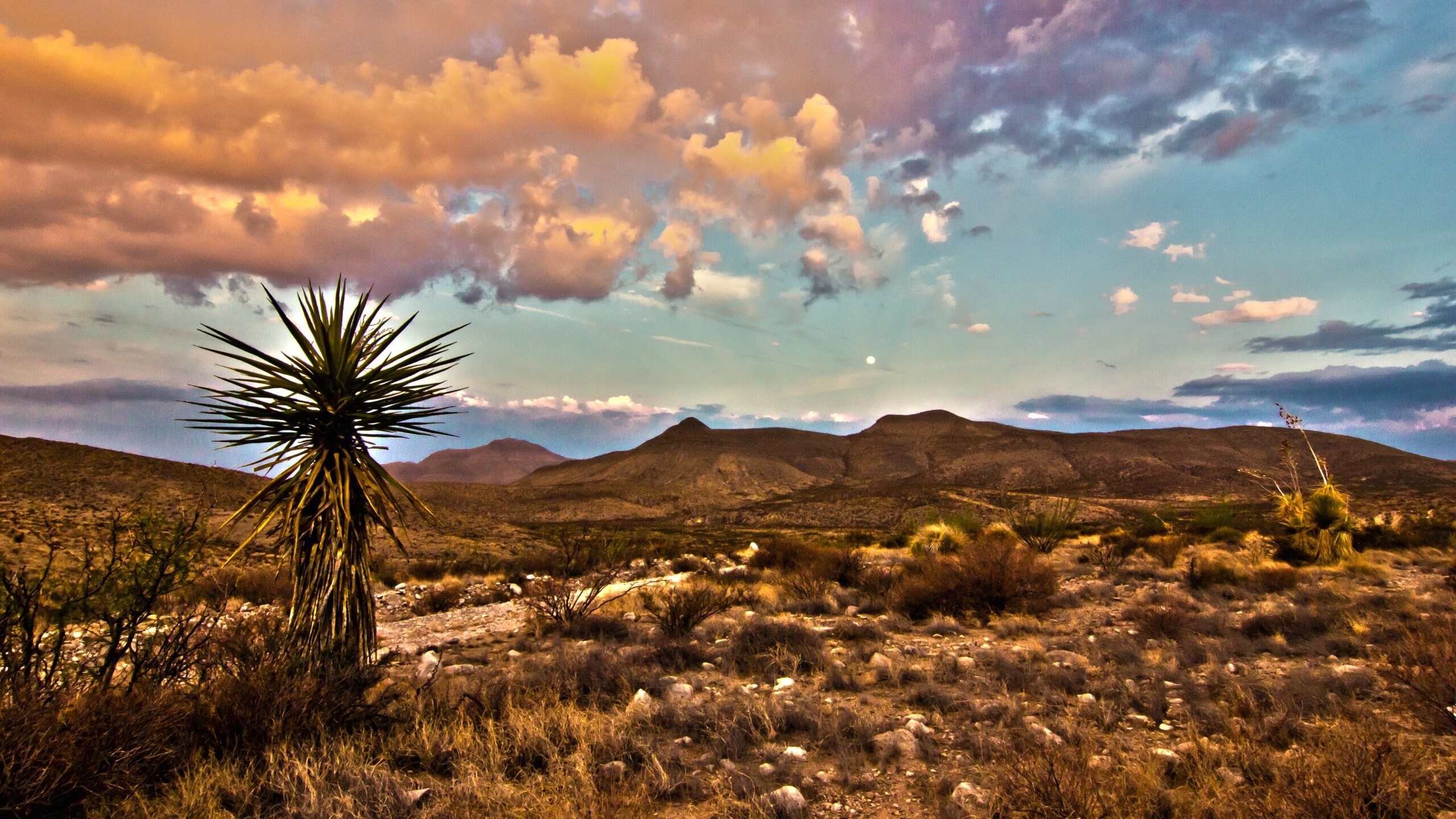 Midland TX US Location De Vacances Partir De 63 nuit Abritel