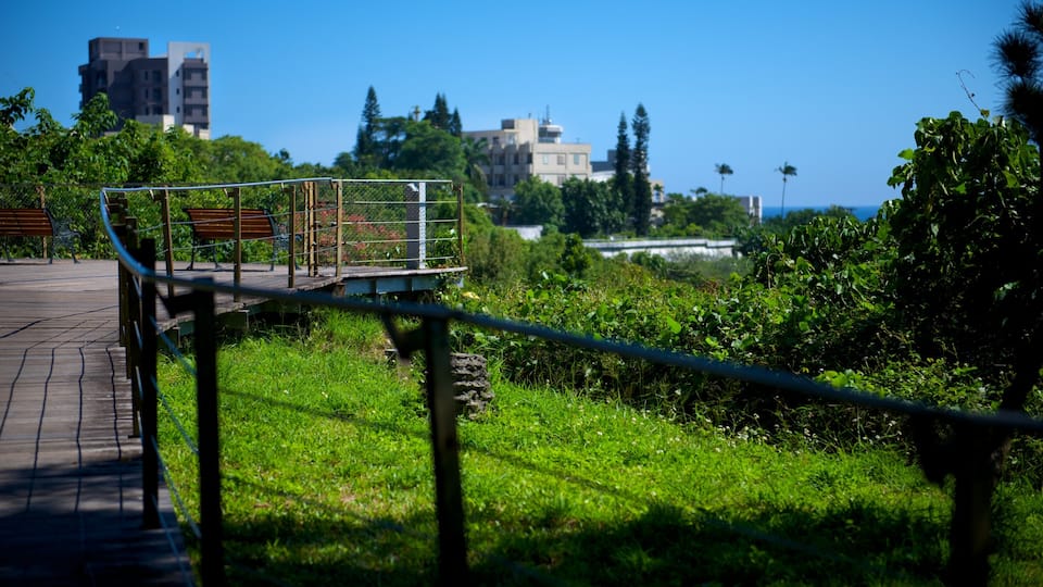 Jardim dos Pinhais caracterizando paisagens